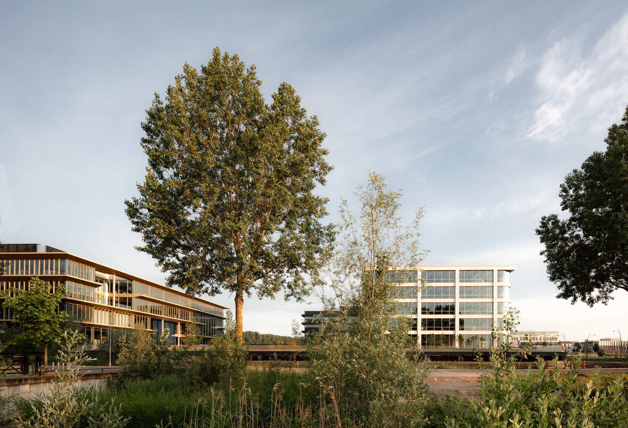 Gallery of Danone Headquarters / Powerhouse Company - 19