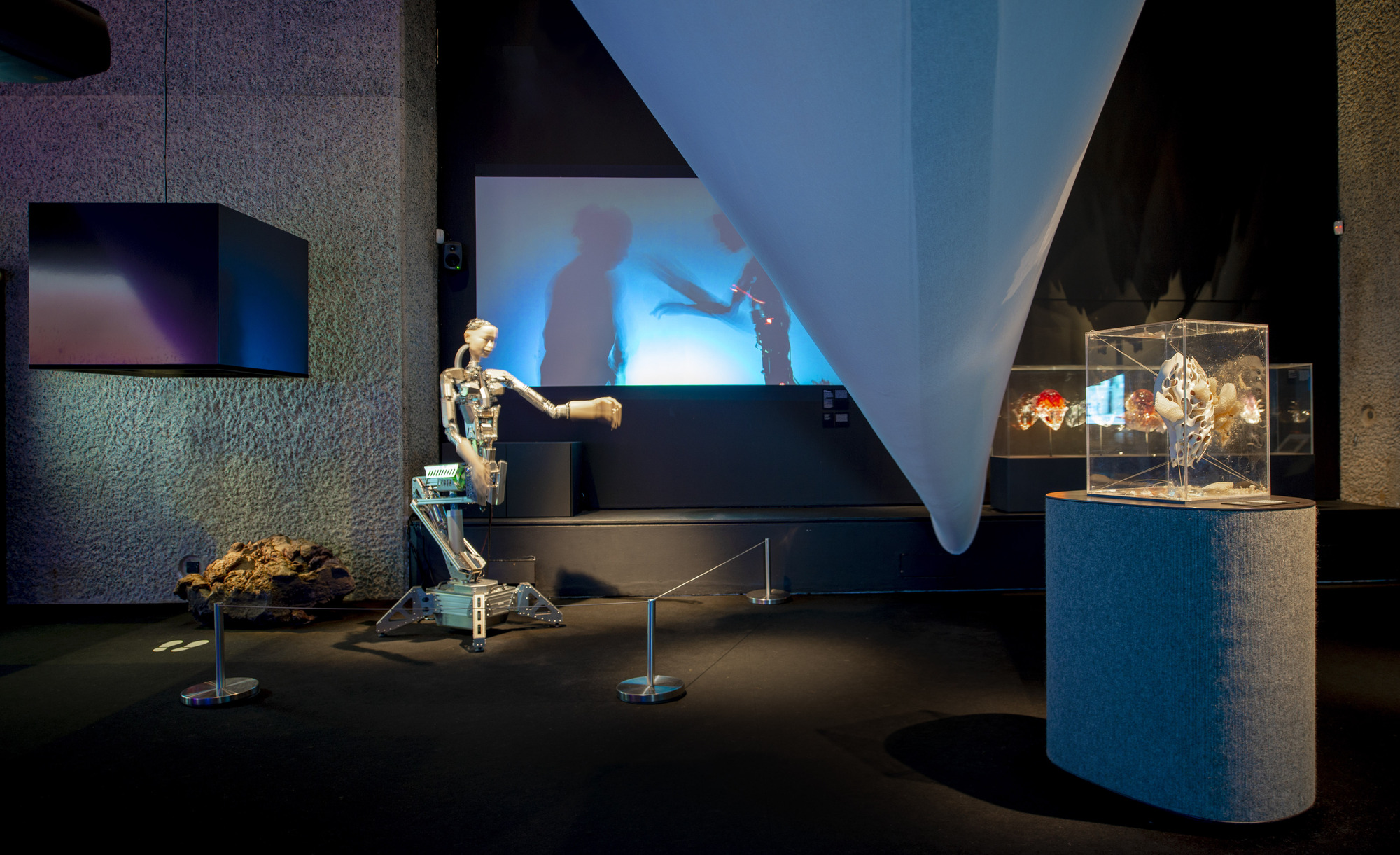 Gallery of “AI: More than Human” Exhibition / Tonkin Liu - 9