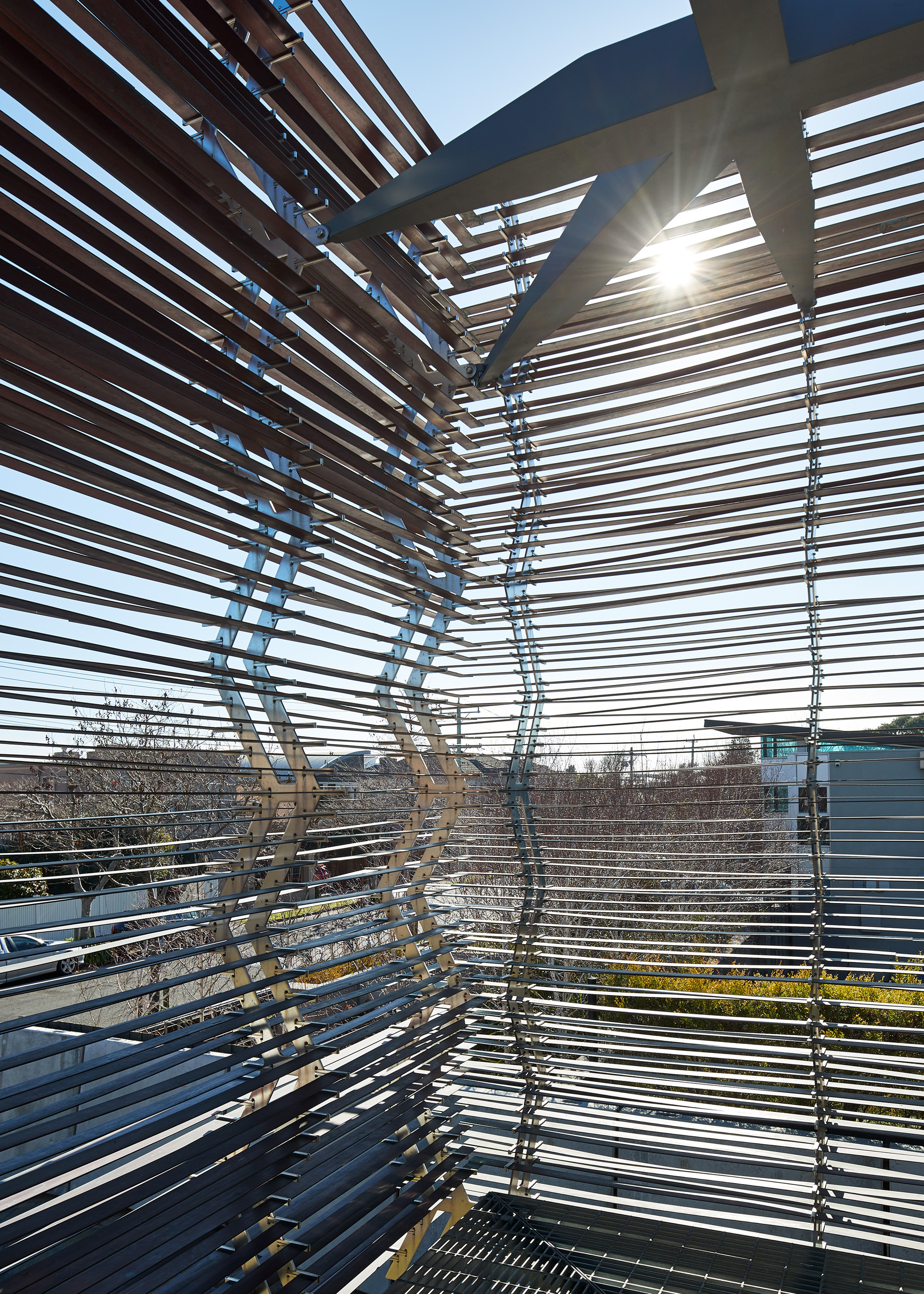 Gallery of The Compound House / March Studio - 13