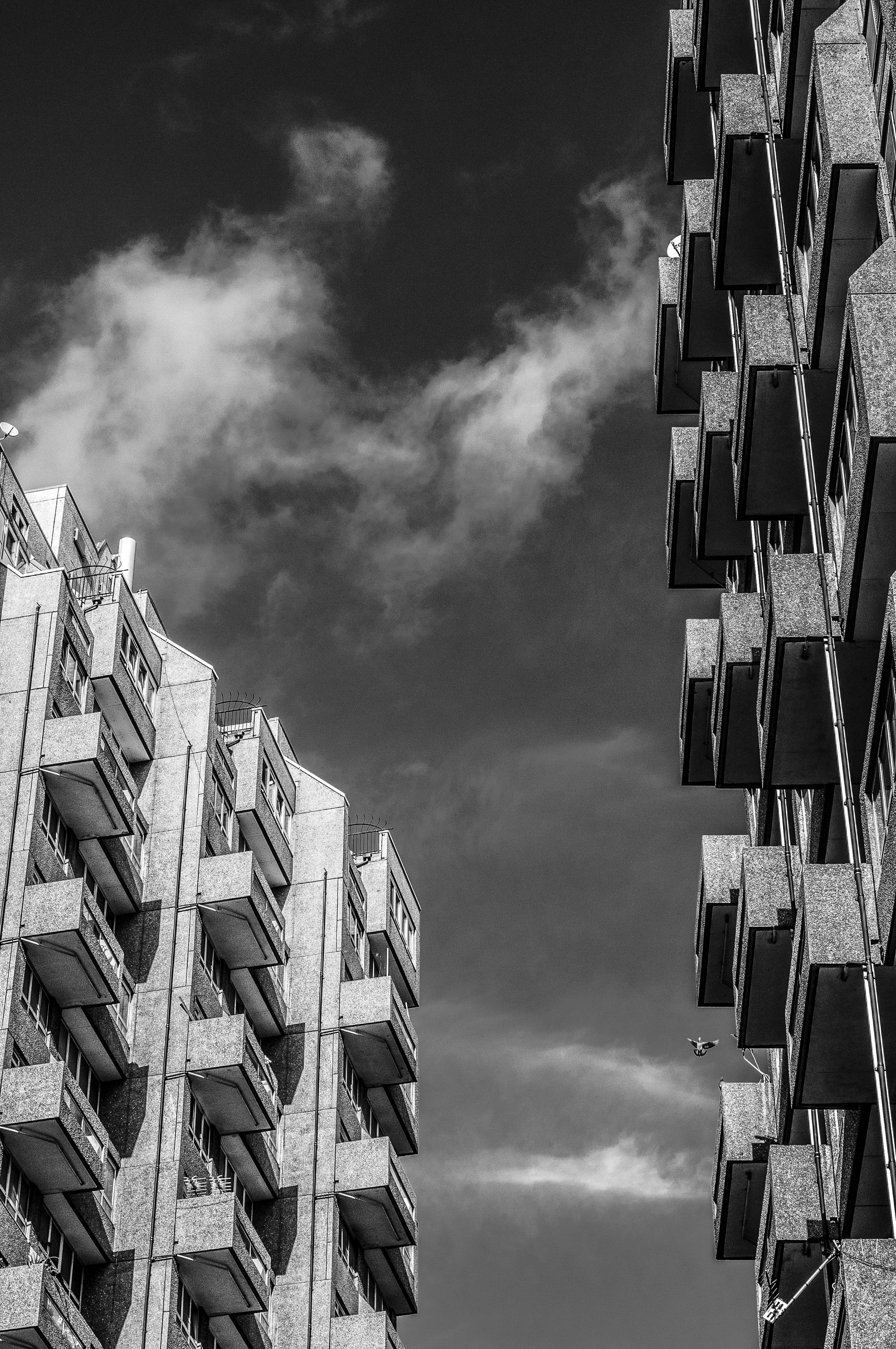 Gallery of London's Shades of Grey - 16