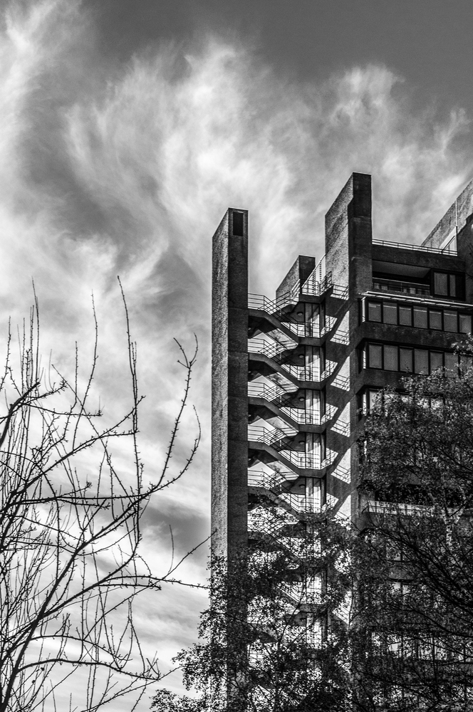 Gallery of London's Shades of Grey - 42