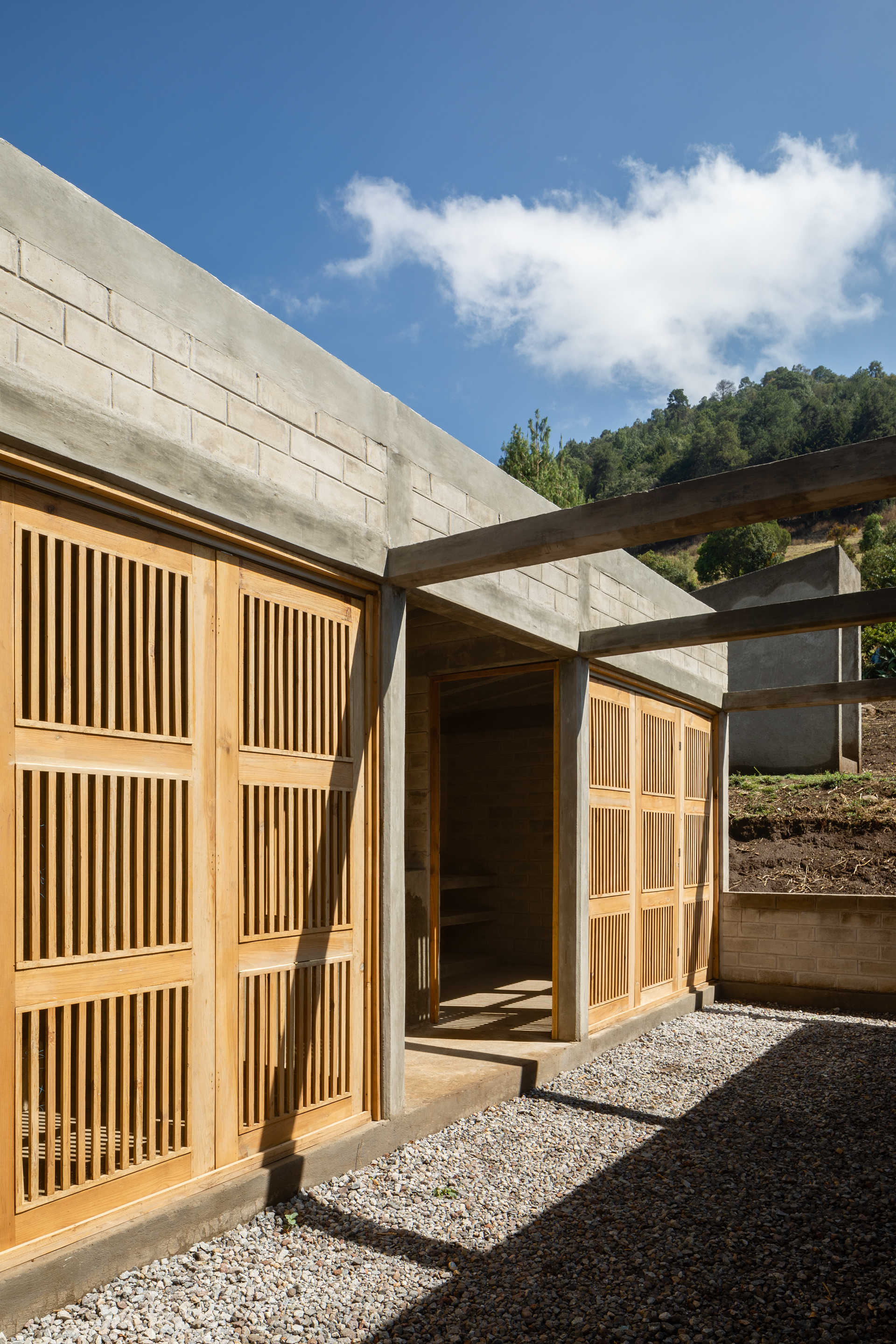 Gallery of Martina House / PPAA - 12