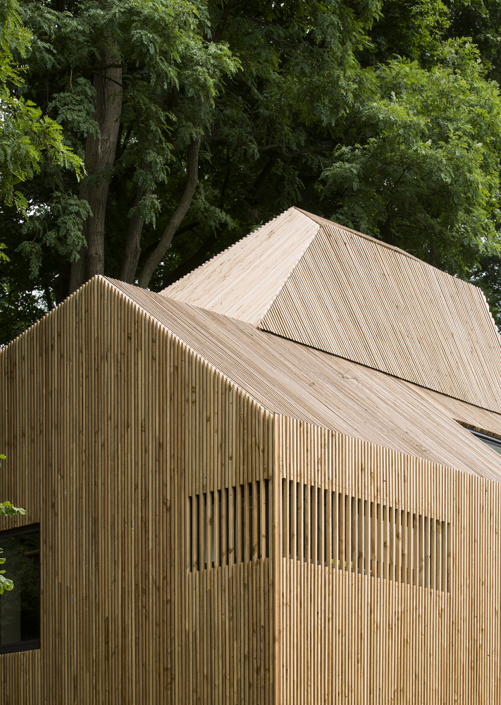 画廊 林间收藏屋 / Louis Paillard Architecte - 1