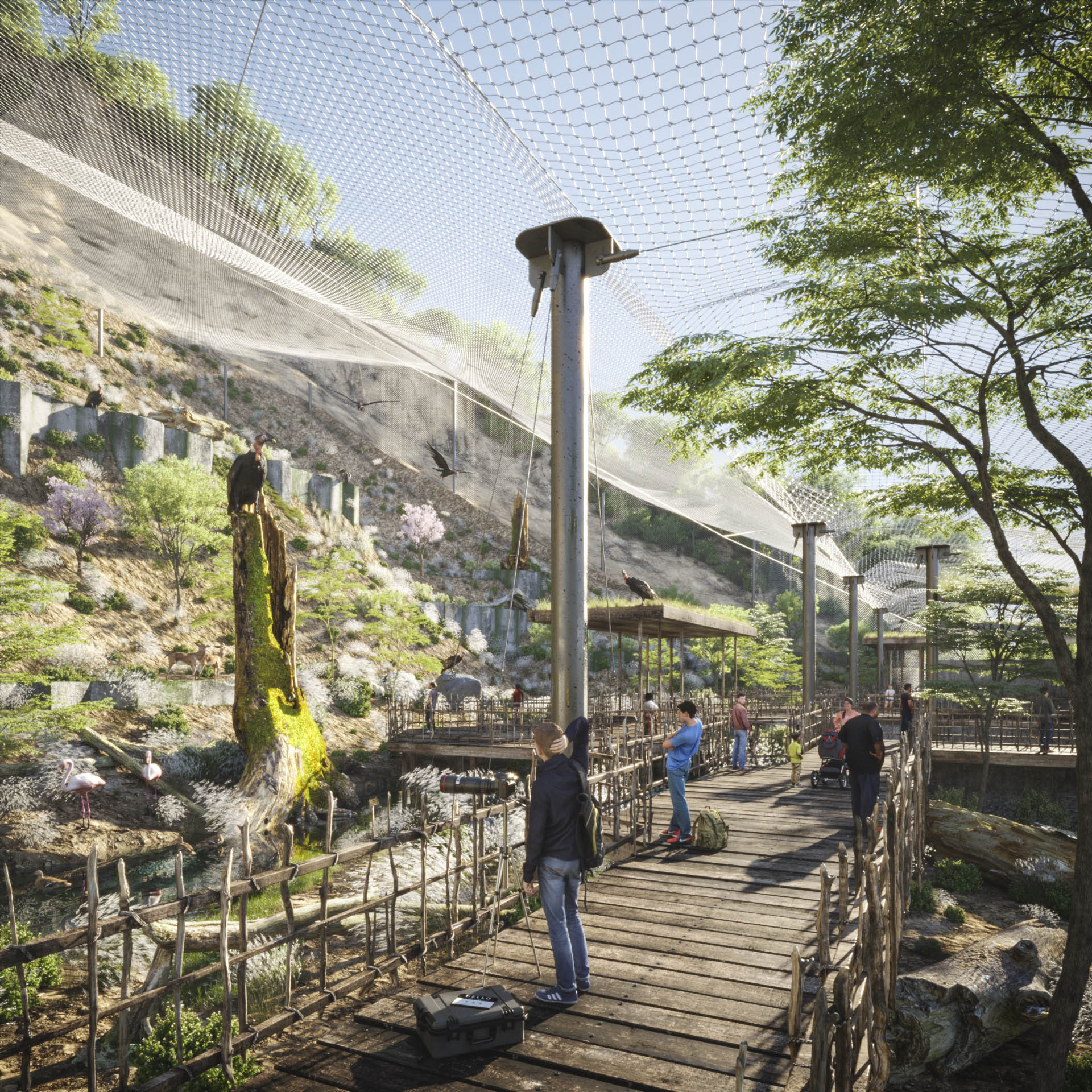 Abren licitación para diseñar el nuevo aviario del Parque Metropolitano ...