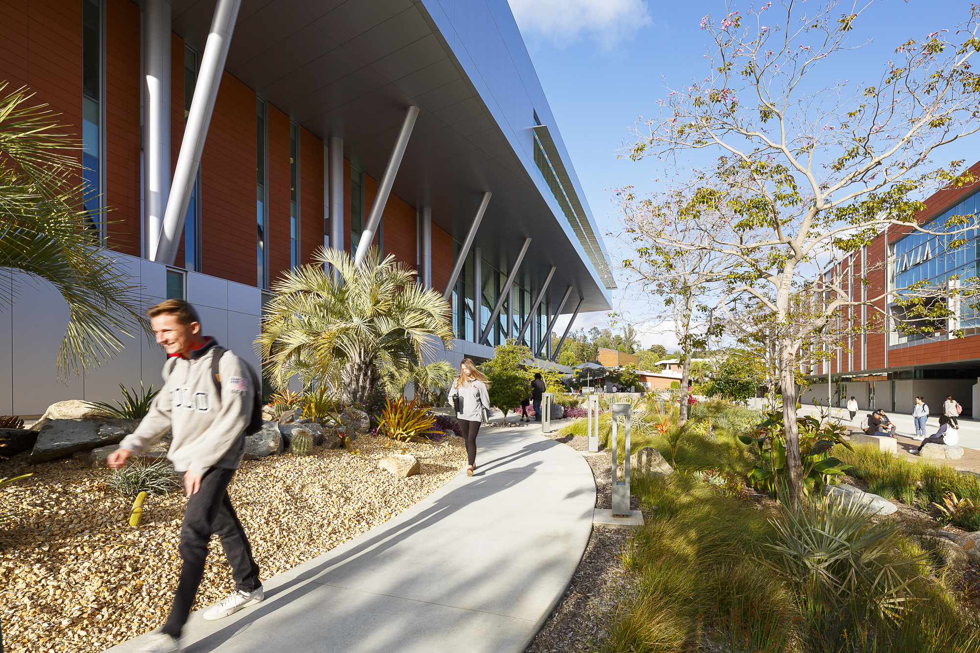 Gallery of Palomar College Learning Resource Center / LPA - 12