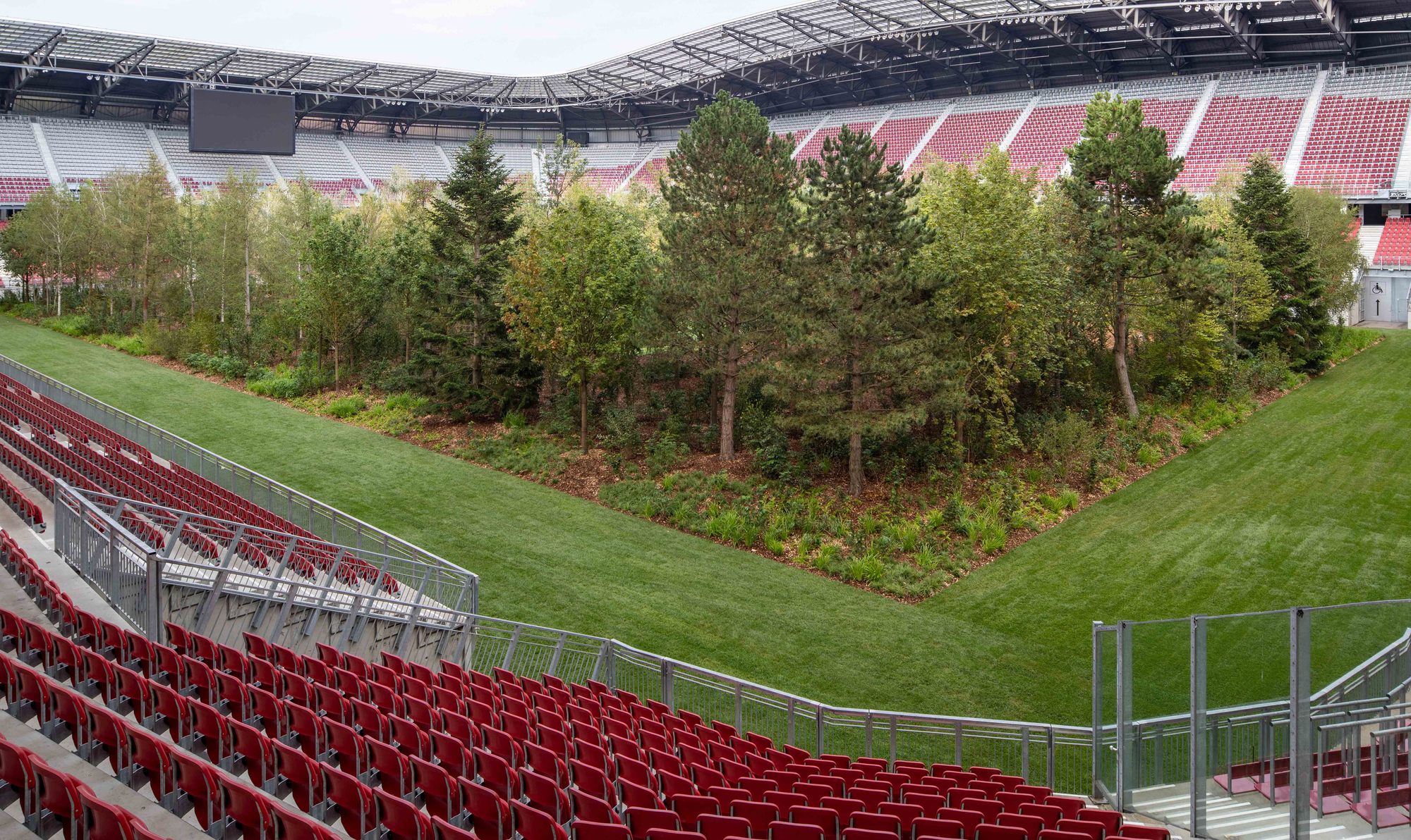 Gallery of Austrian Stadium is Transformed into Giant Forest - 3
