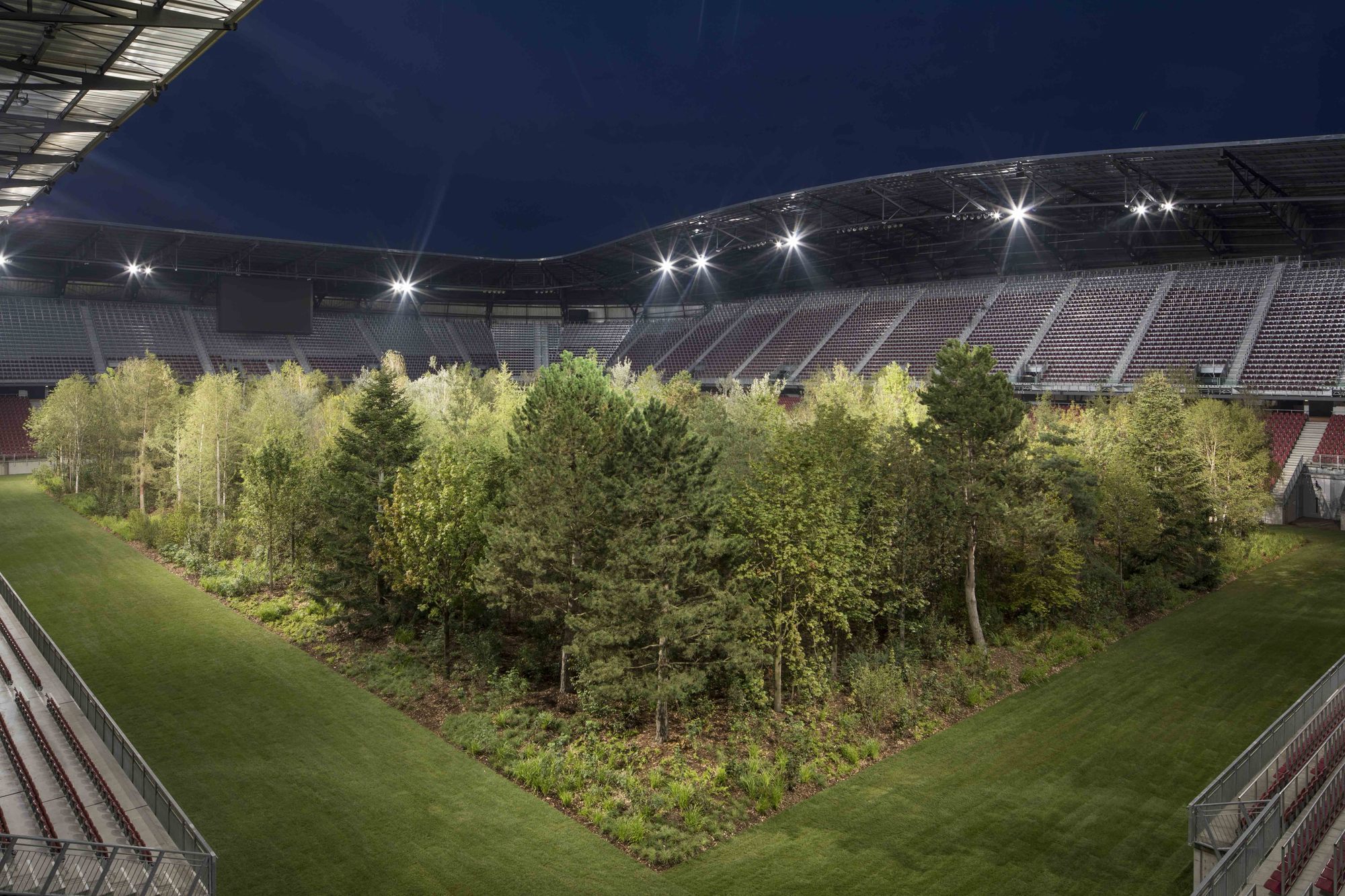 Gallery of Austrian Stadium is Transformed into Giant Forest - 4