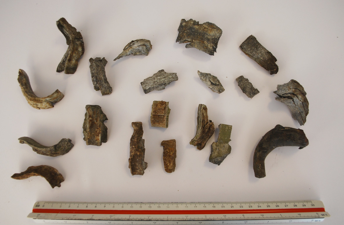 Gallery of Cinematic Documentary Shows Journey of Landscape Healing - 16