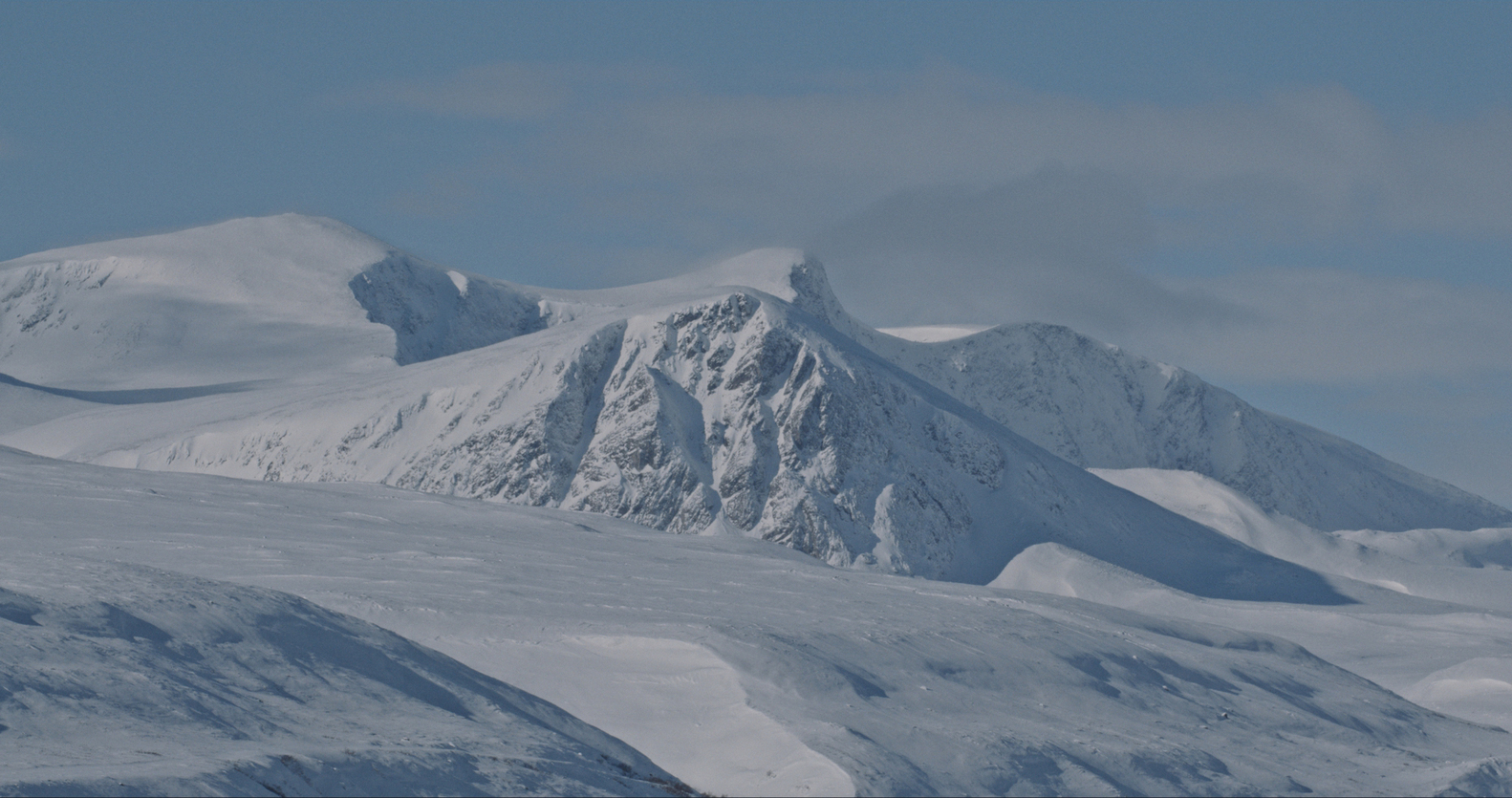 Gallery of Cinematic Documentary Shows Journey of Landscape Healing - 1