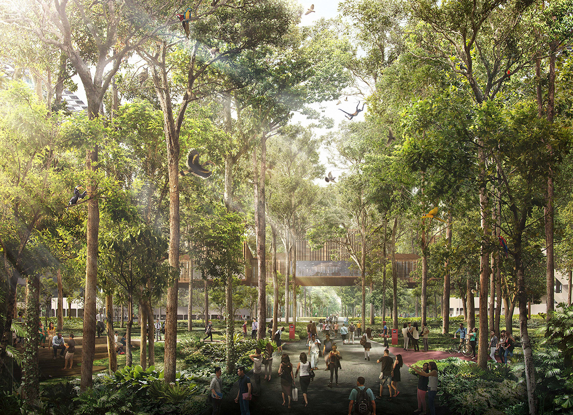 Gallery of Constructions Begin on a WOHA Designed Campus in Singapore - 5