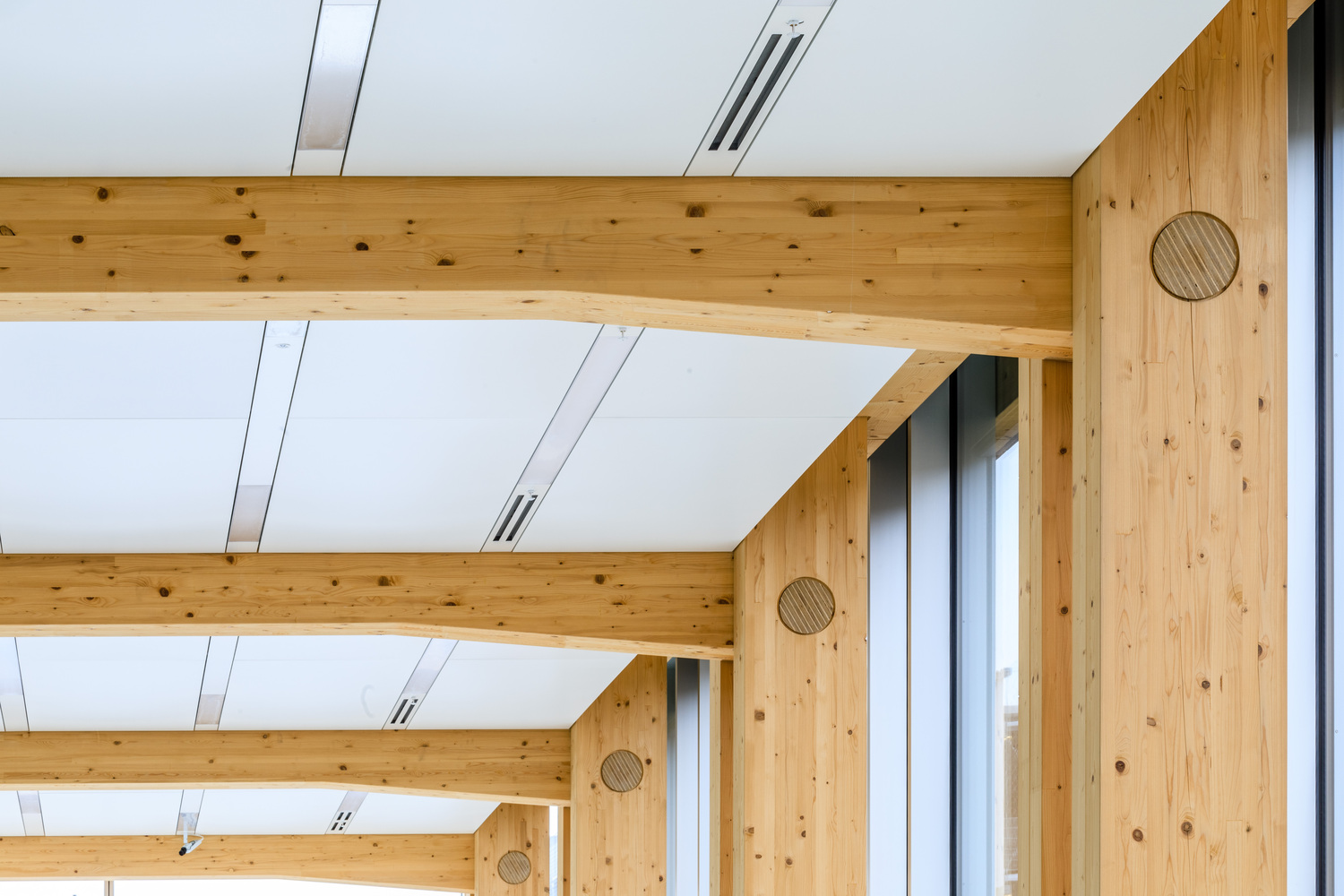 Gallery of Swatch and Omega Campus / Shigeru Ban Architects - 8