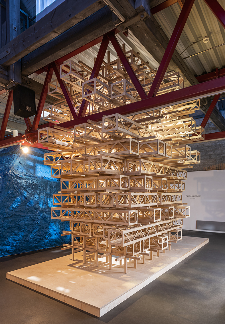 Gallery of TAB 2019: Curator Yael Reisner on her Lifelong Fight for ...