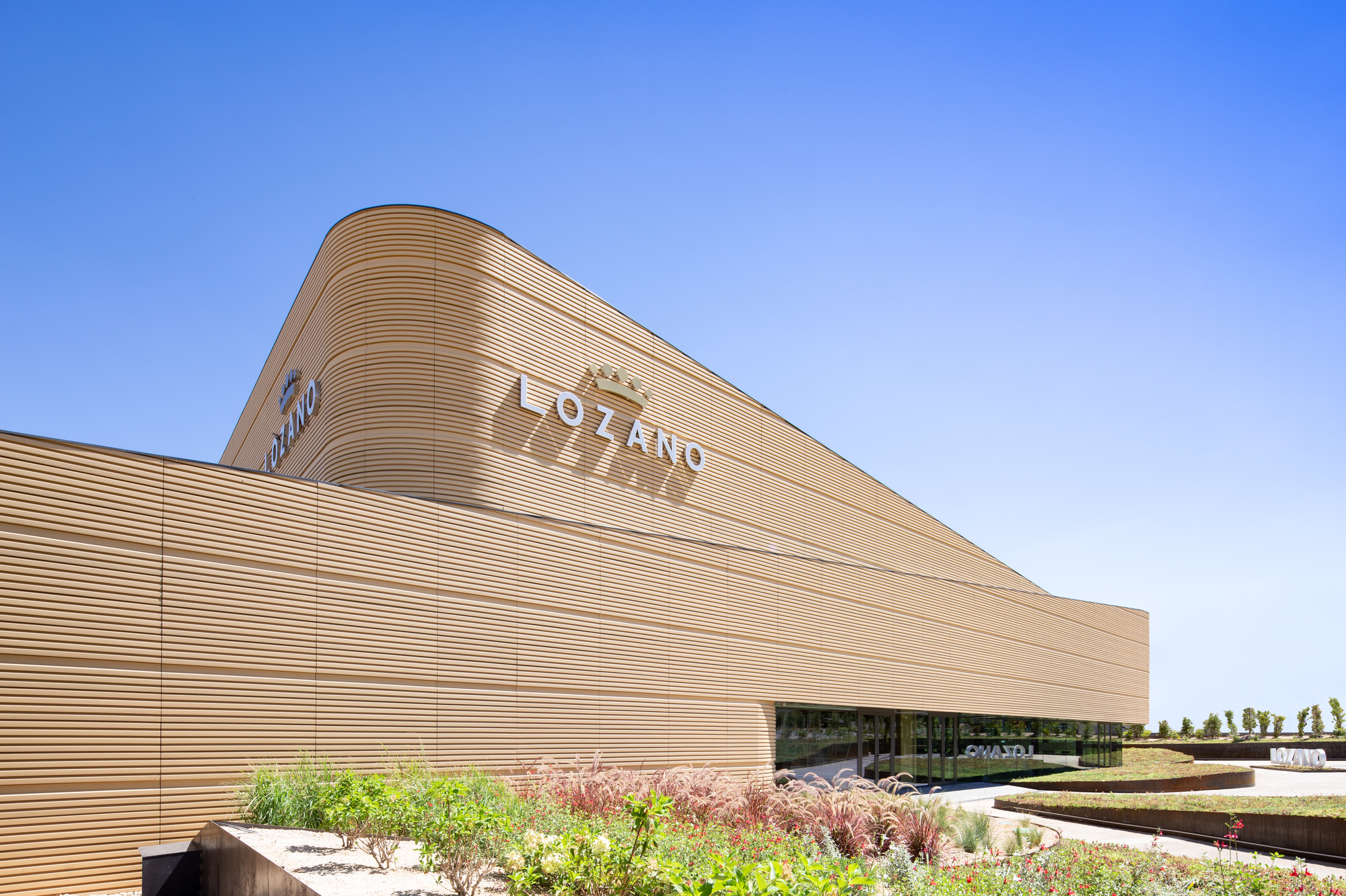 Gallery of Lozano Warehouse / Morph Estudio - 5