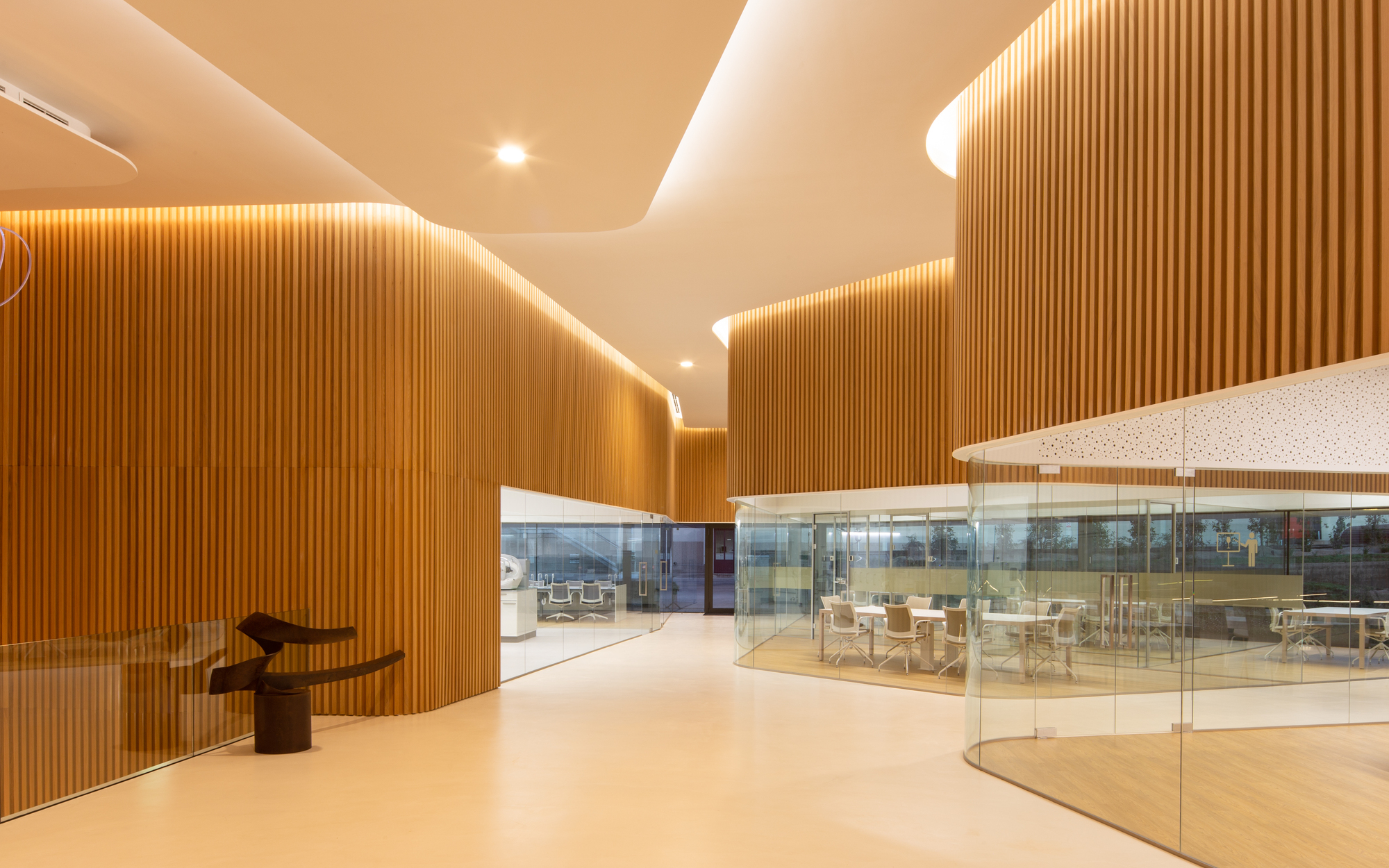 Gallery of Lozano Warehouse / Morph Estudio - 8