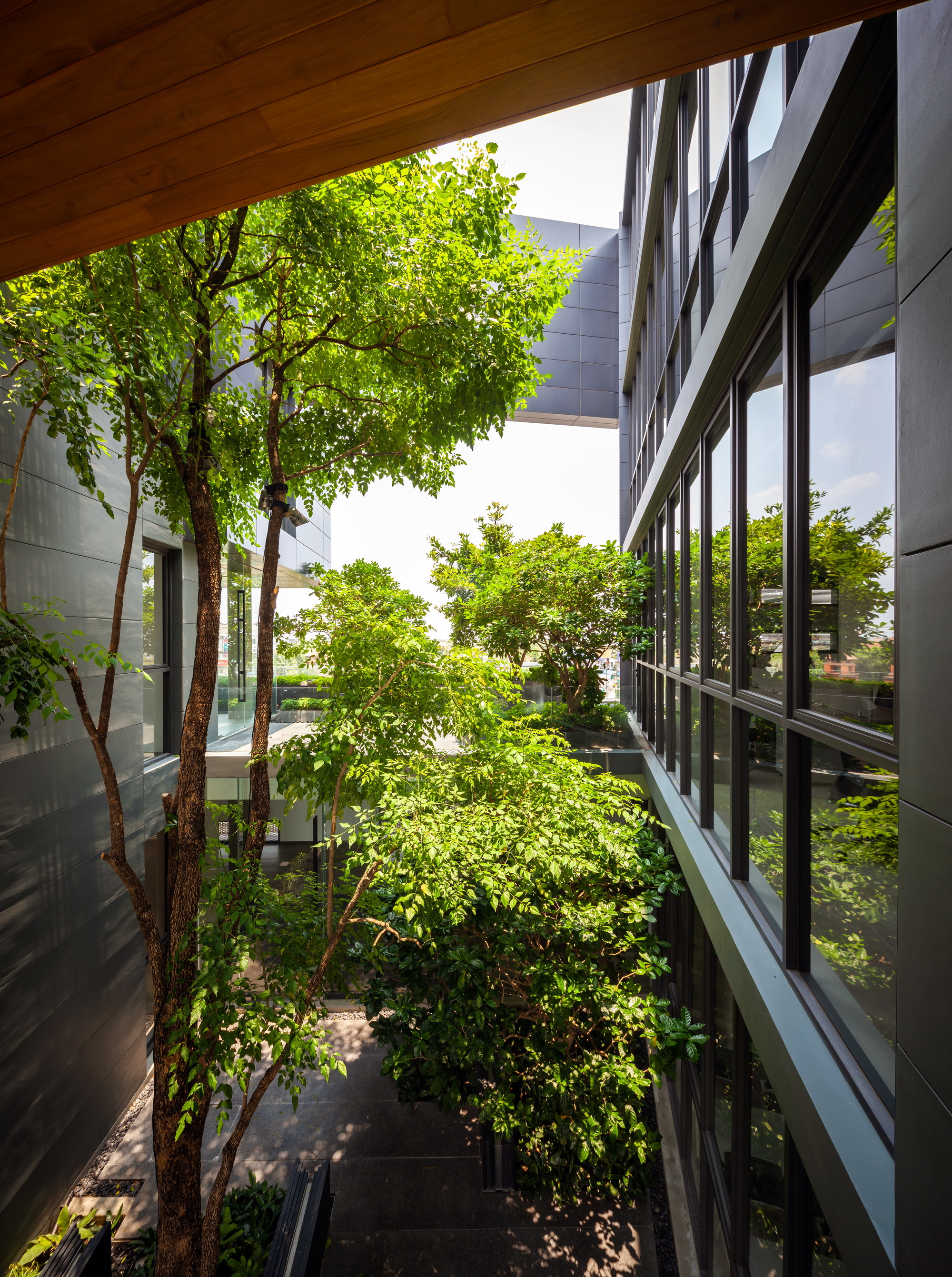 Gallery of MacroCare Office / Stu/D/O Architects - 15