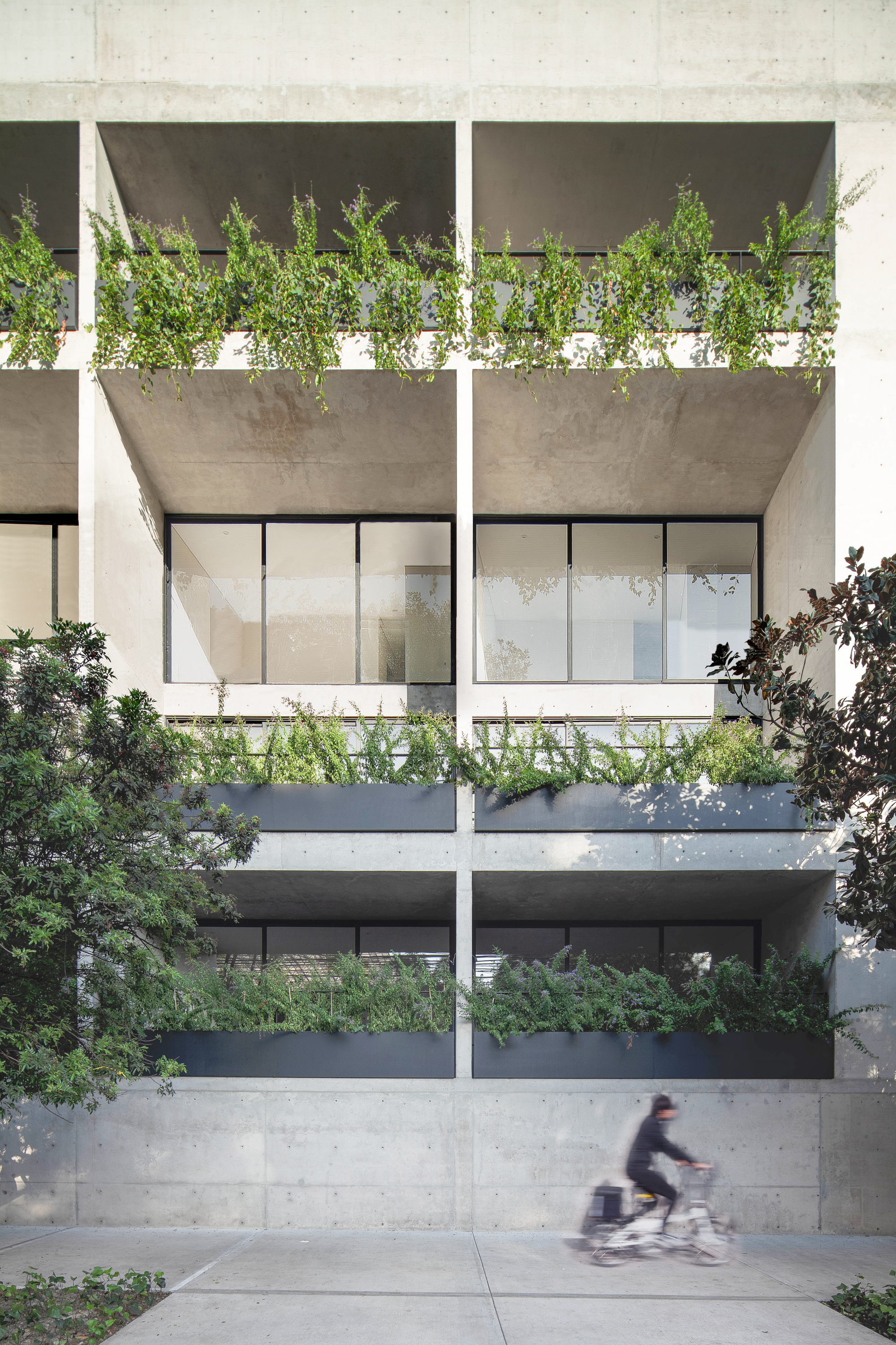 Galería de Edificio Magdalena / HERNANDEZDELAGARZA - 3