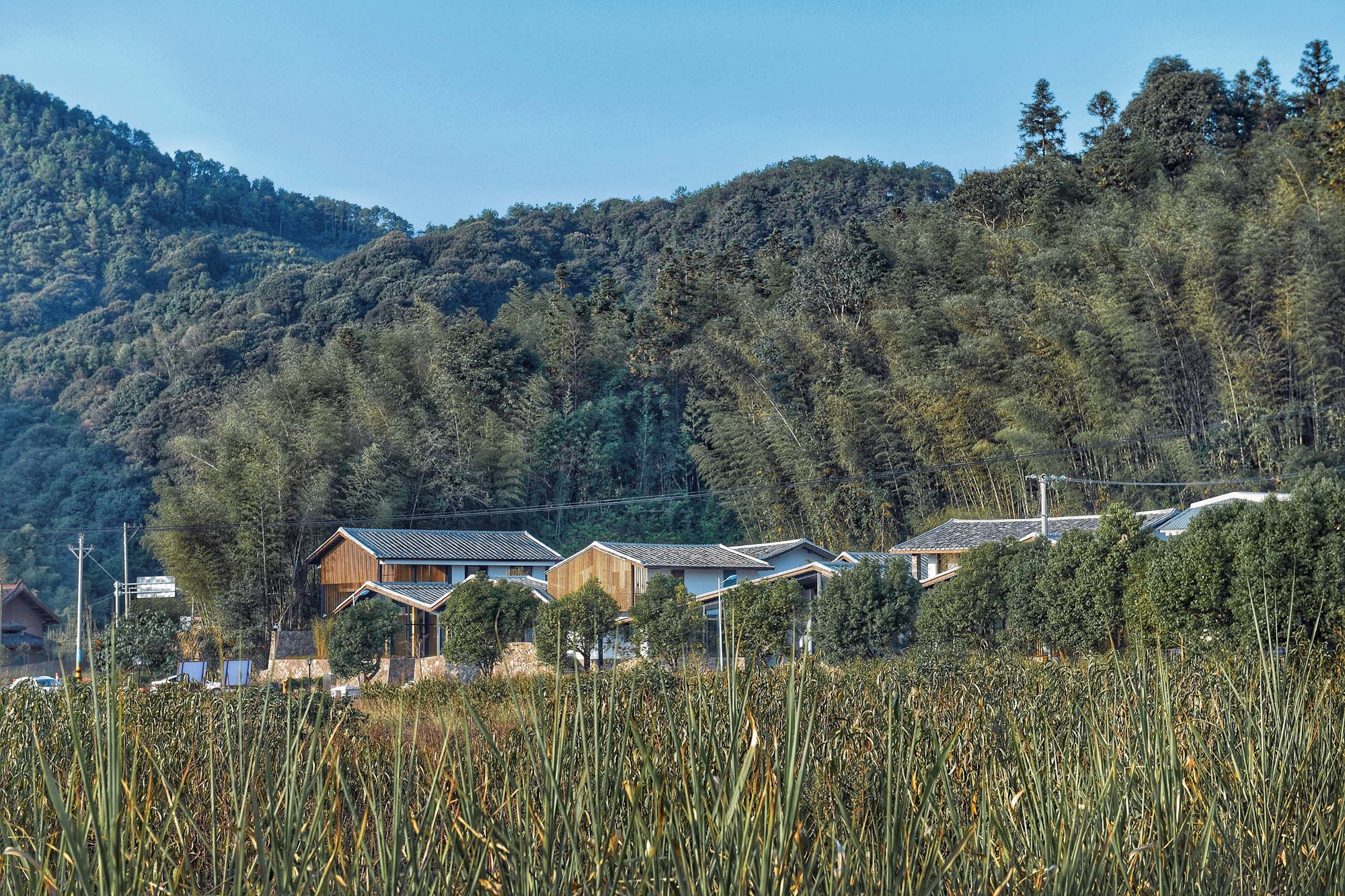 Gallery of The Farmer Bazaar / Rural Culture D-R-C - 6