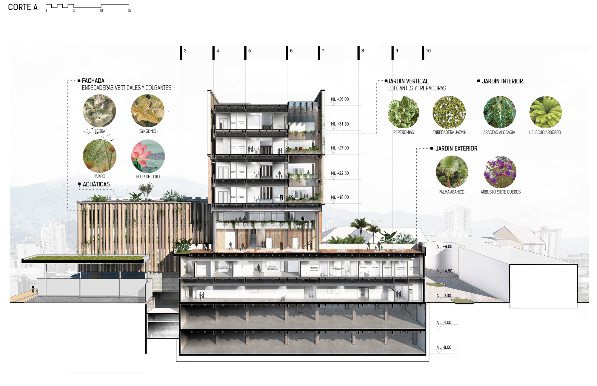 Galería de Hospital como espacio público: una propuesta para el ...