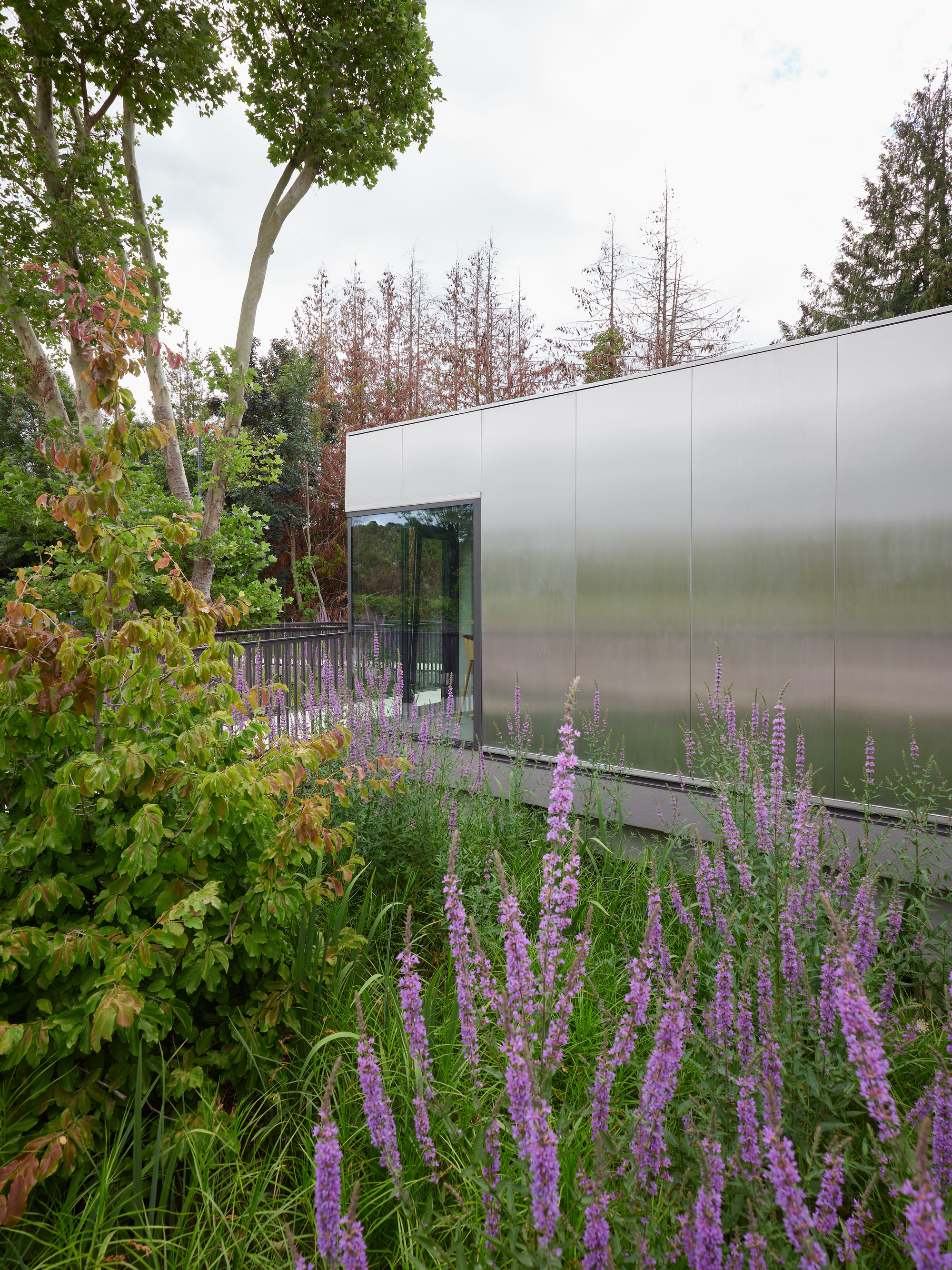 Gallery of Media Center, Agora and Municipal Archives / MU Architects - 13