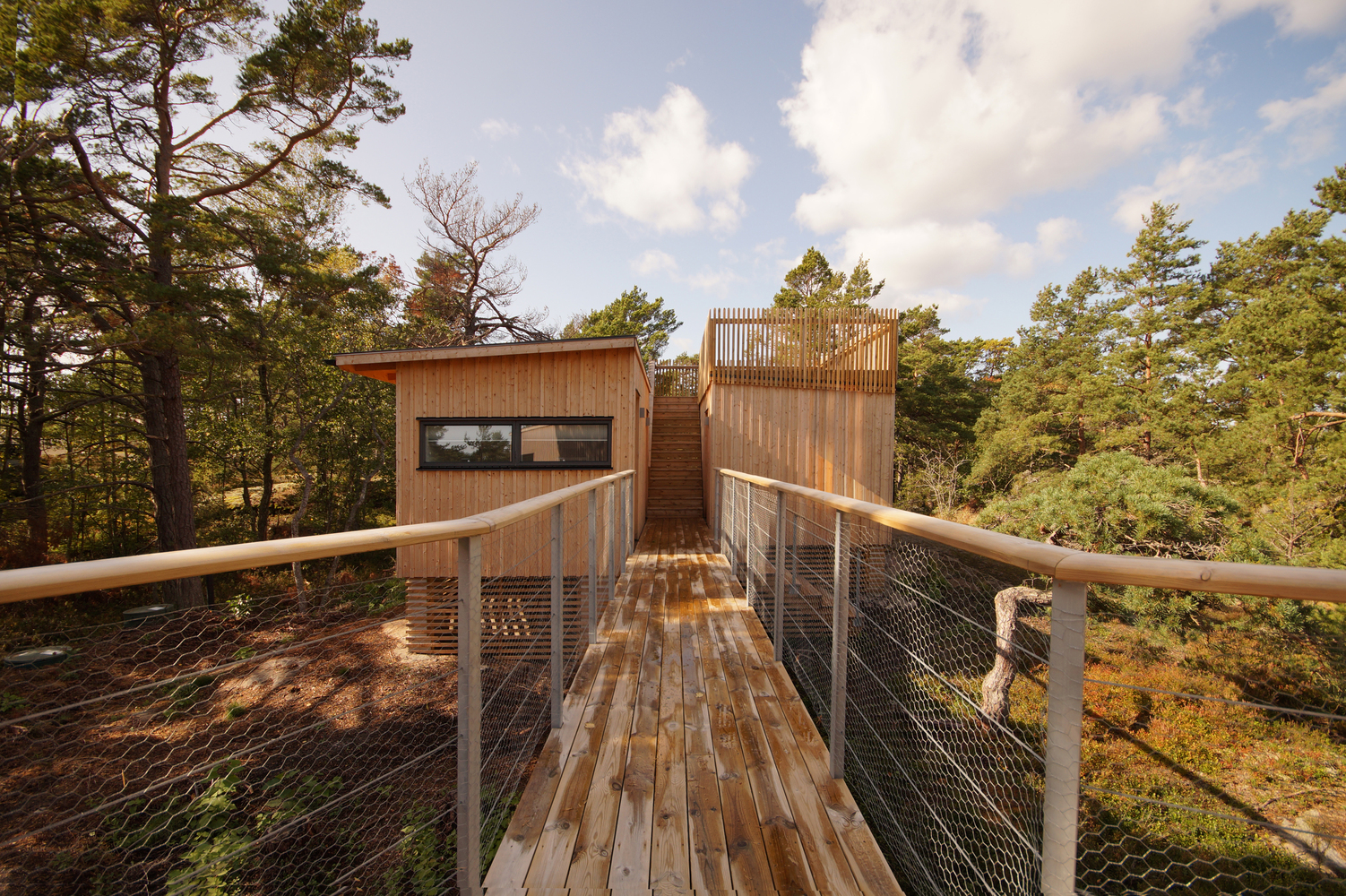 Gallery of Zartmann House / Anders Berensson Architects - 2