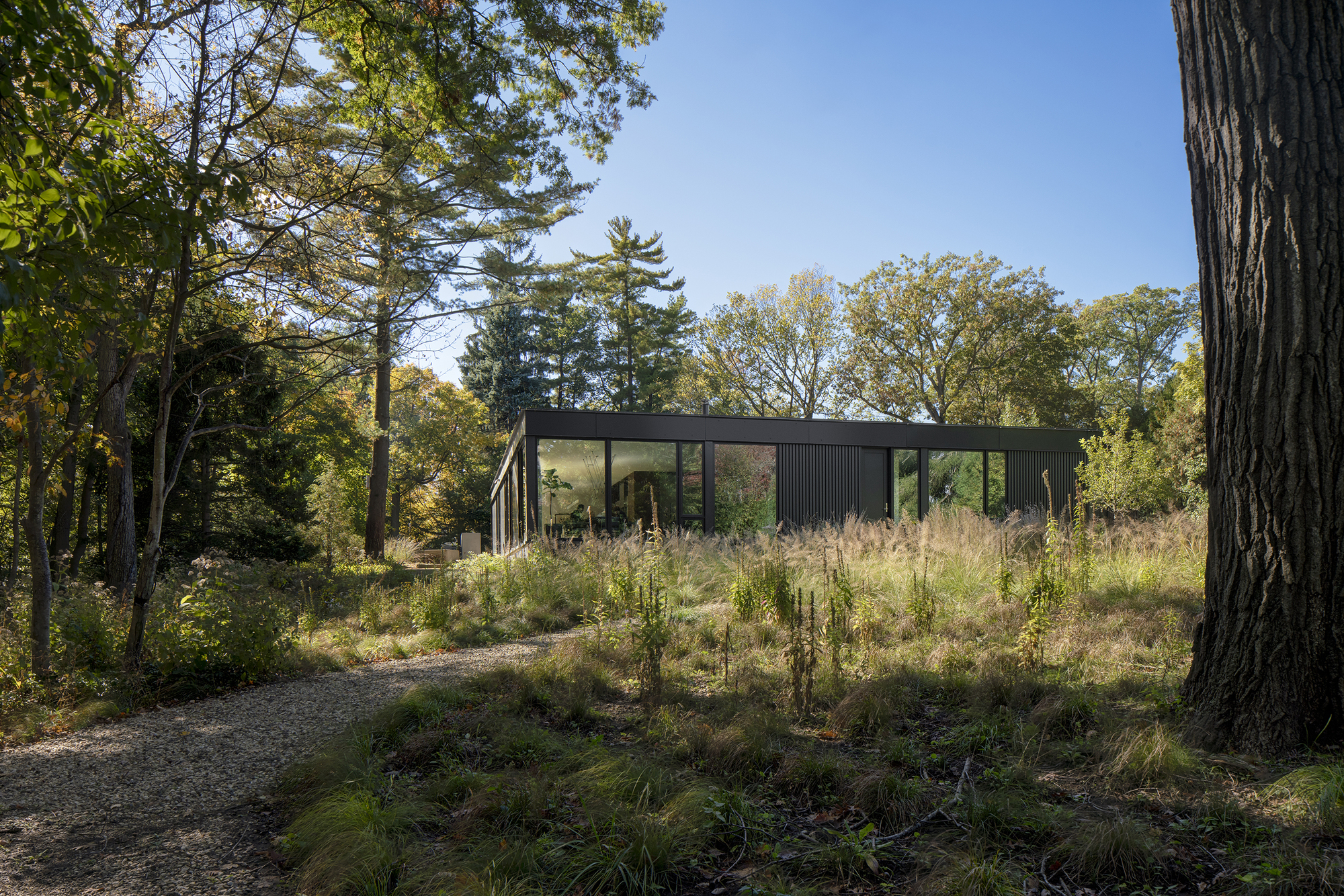 Gallery of Ravine House / Wheeler Kearns Architects - 12