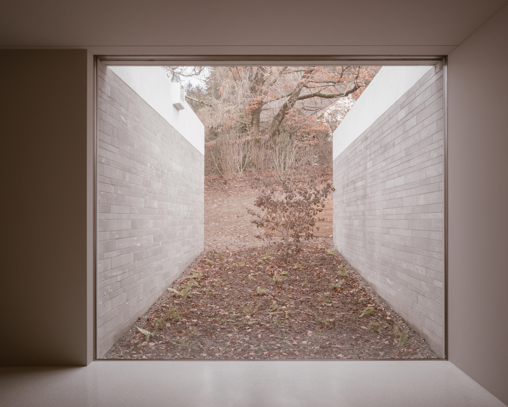 Gallery of House in a Park / Think Architecture - 20