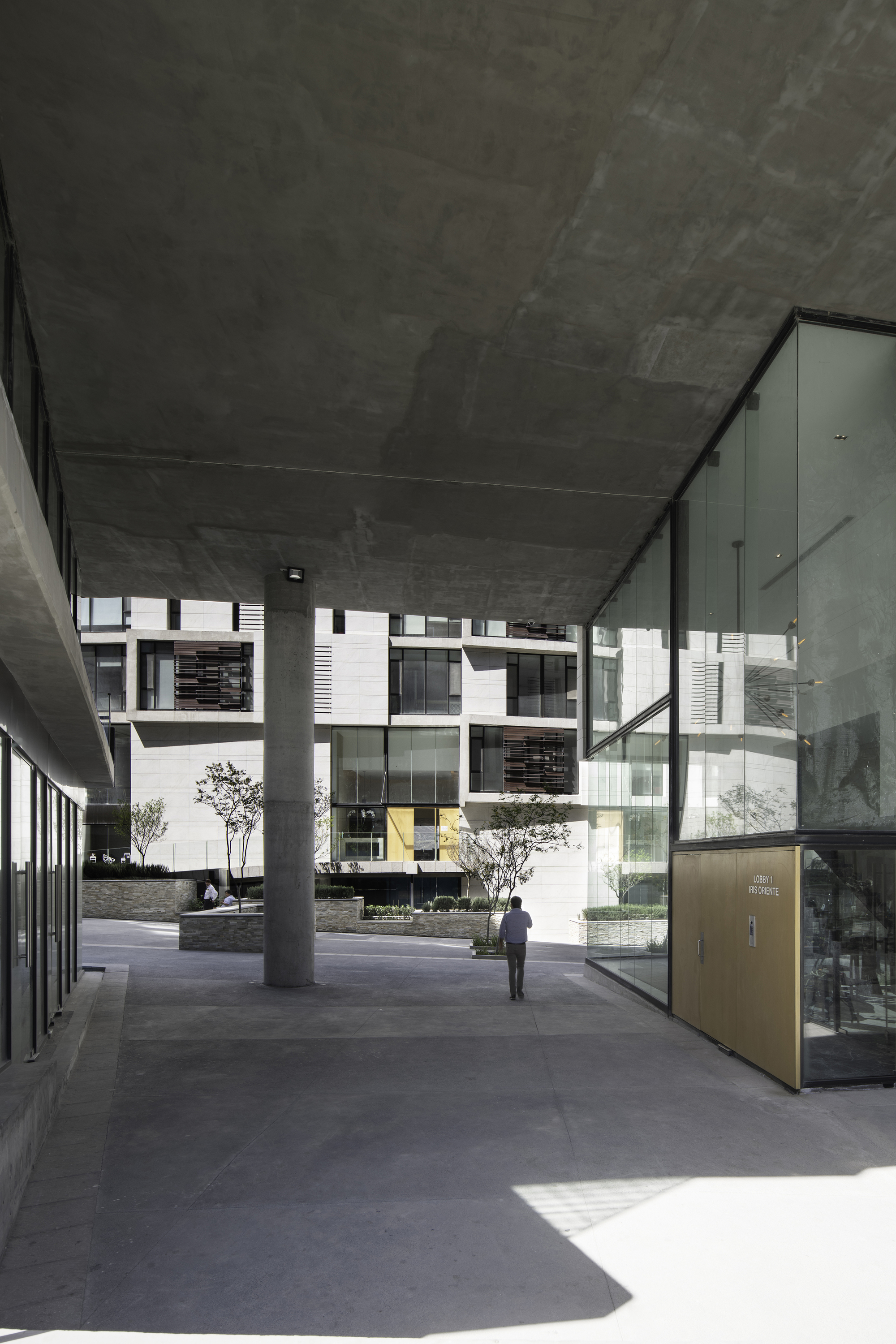 Gallery of Iris Tower / Terra Integral - 13