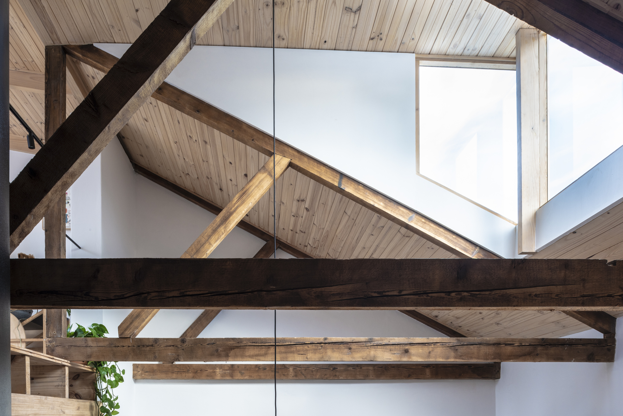 Gallery of Arklow Villa III / Douglas & Company - 9
