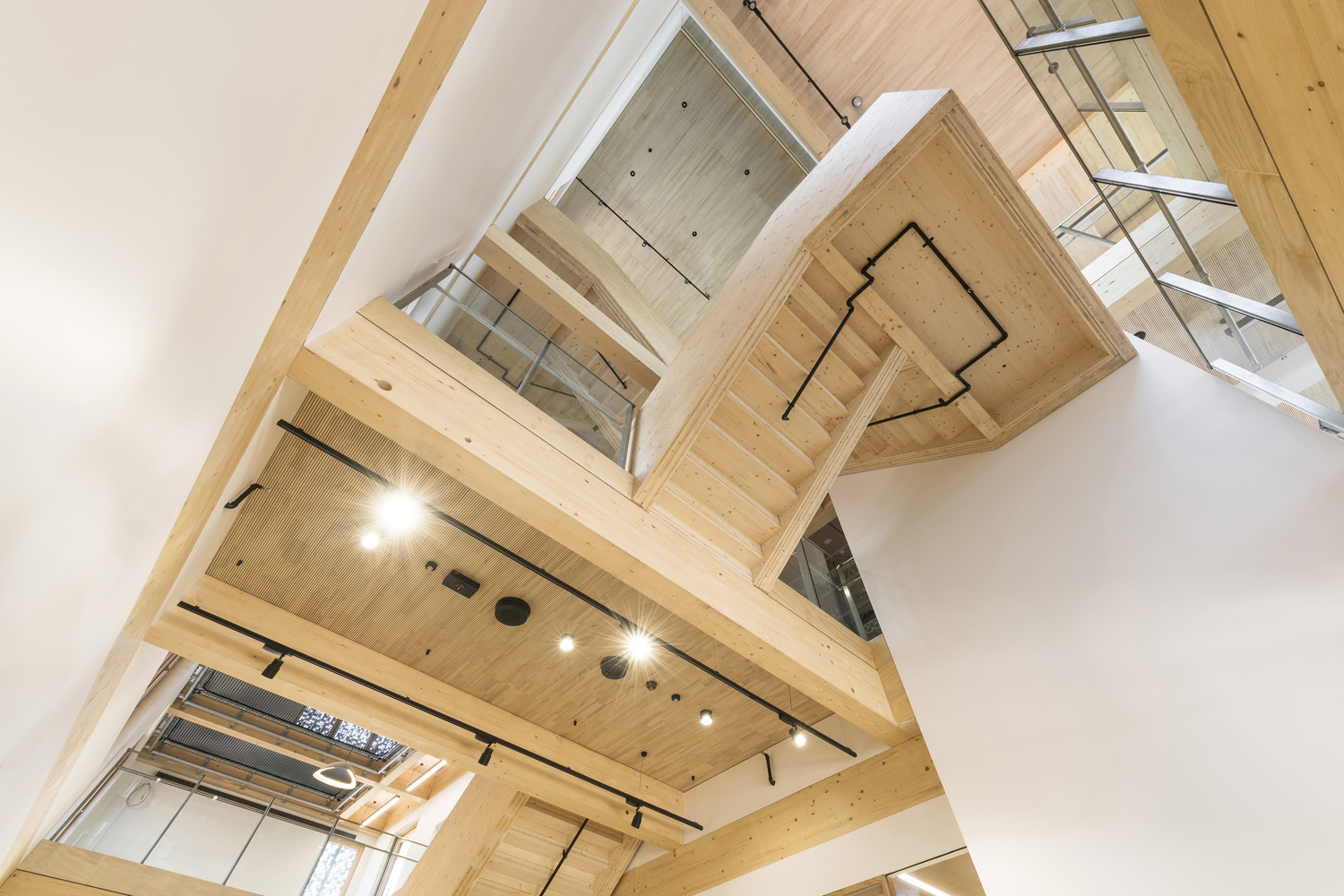 Gallery of Timber Takes the Heat: What Every Architect Should Know ...