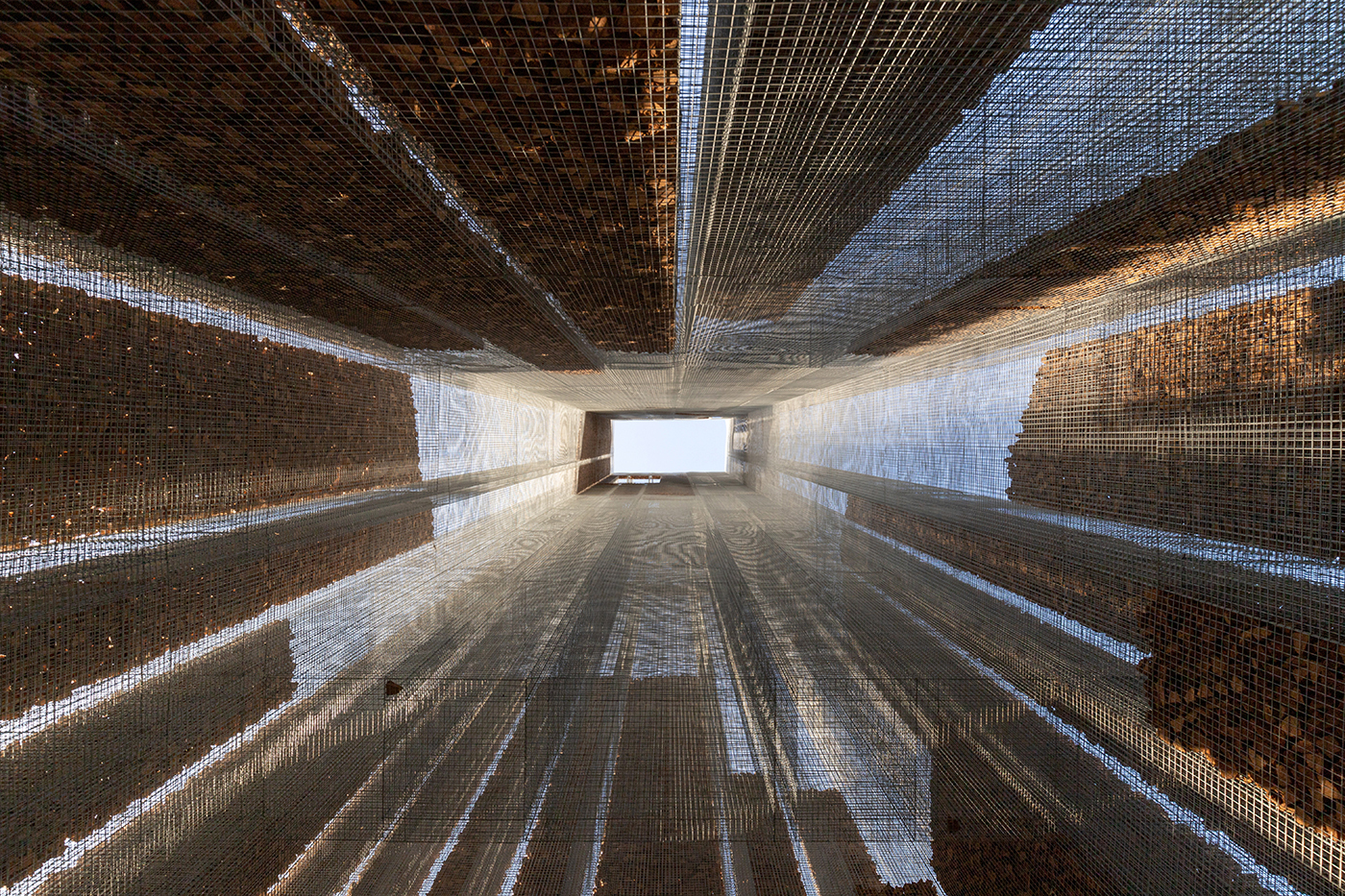 Gallery of Edoardo Tresoldi and Studio Studio Studio Release Images of ...