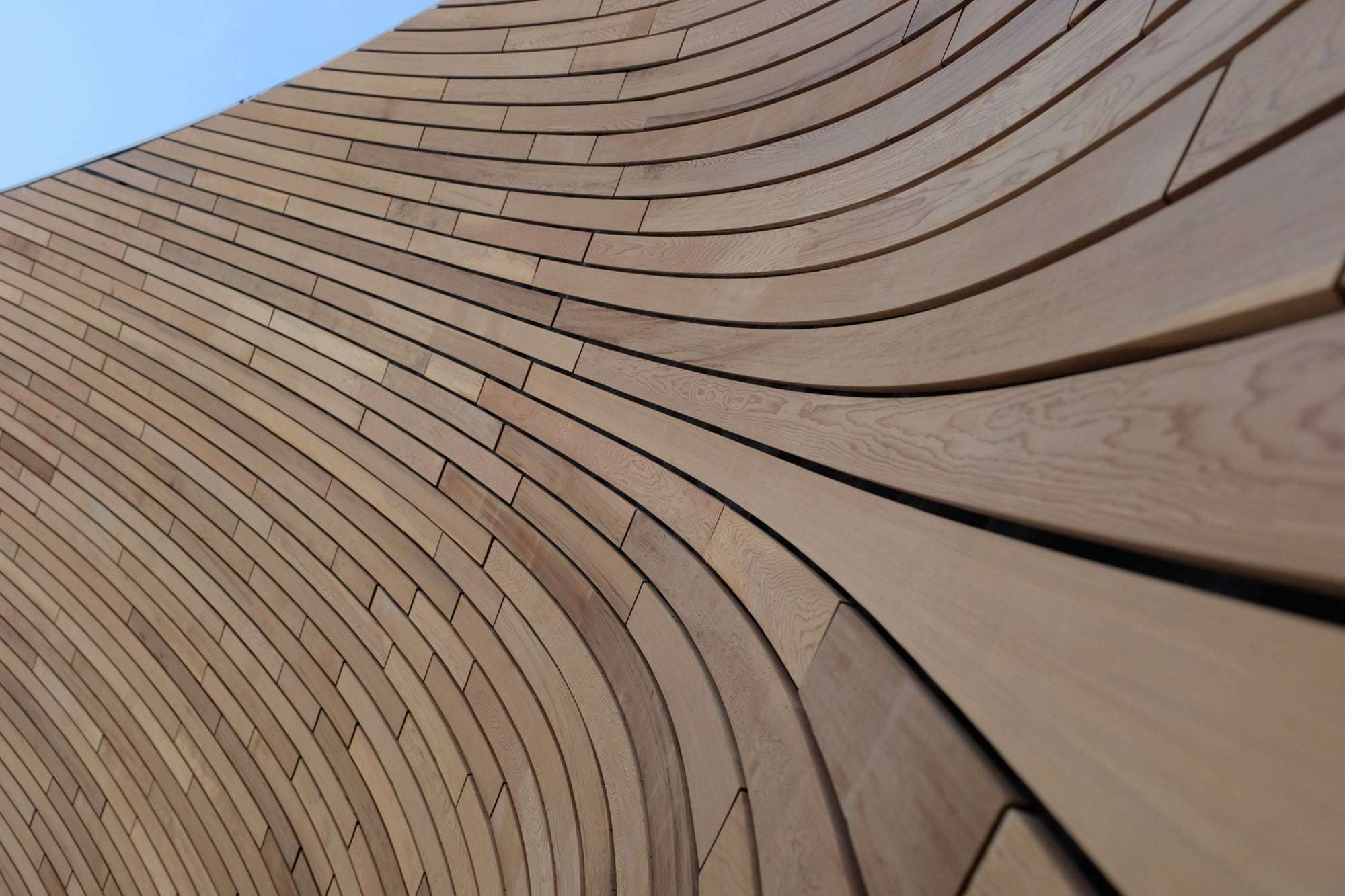 Gallery of Timber Trends: 7 To Watch for 2020 - 24