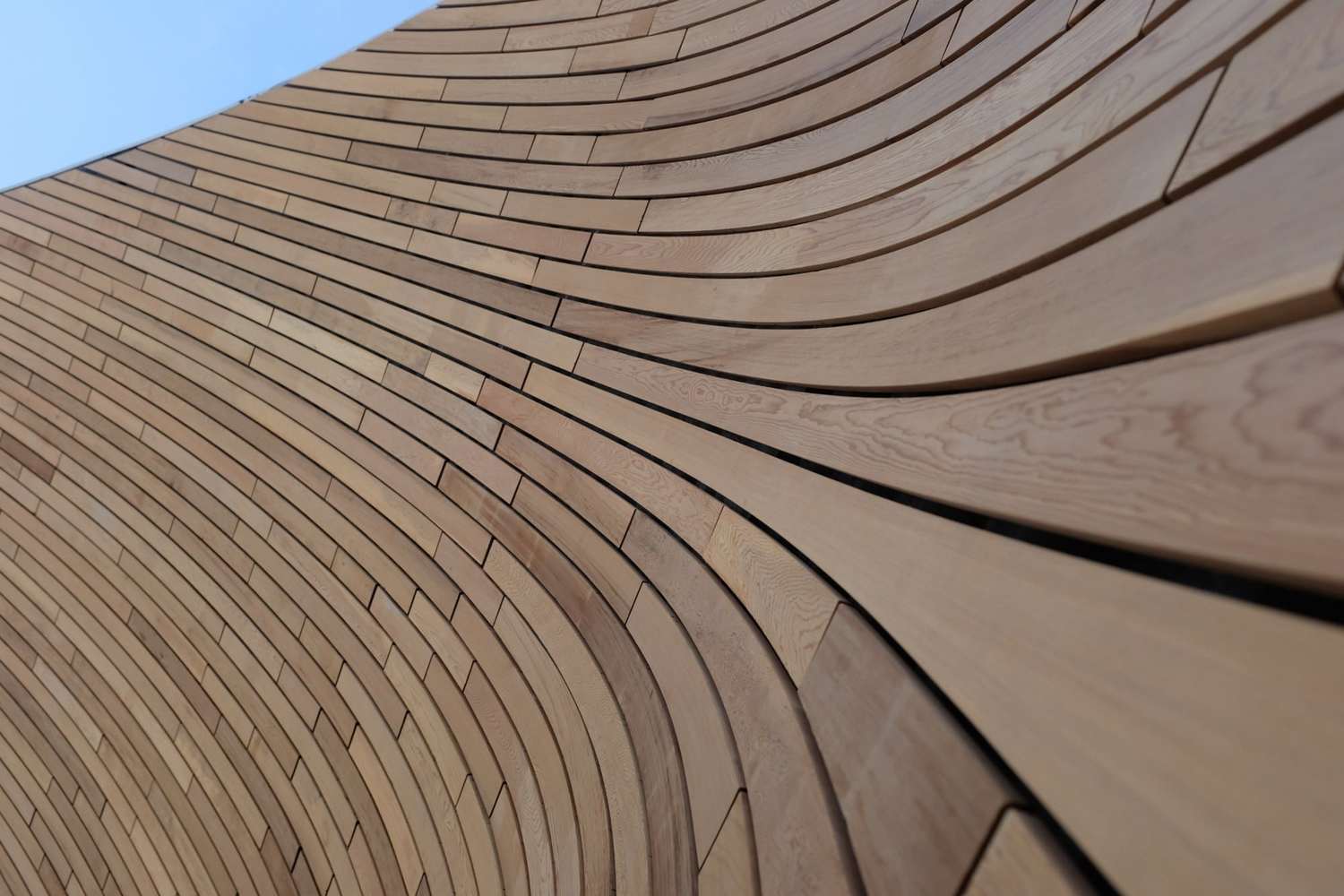 Gallery of Timber Trends: 7 To Watch for 2020 - 23