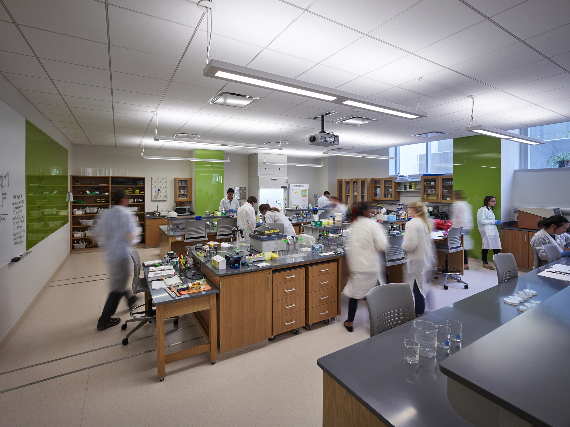 Gallery of Stephen A. Levin Building for Neural and Behavioral Sciences ...