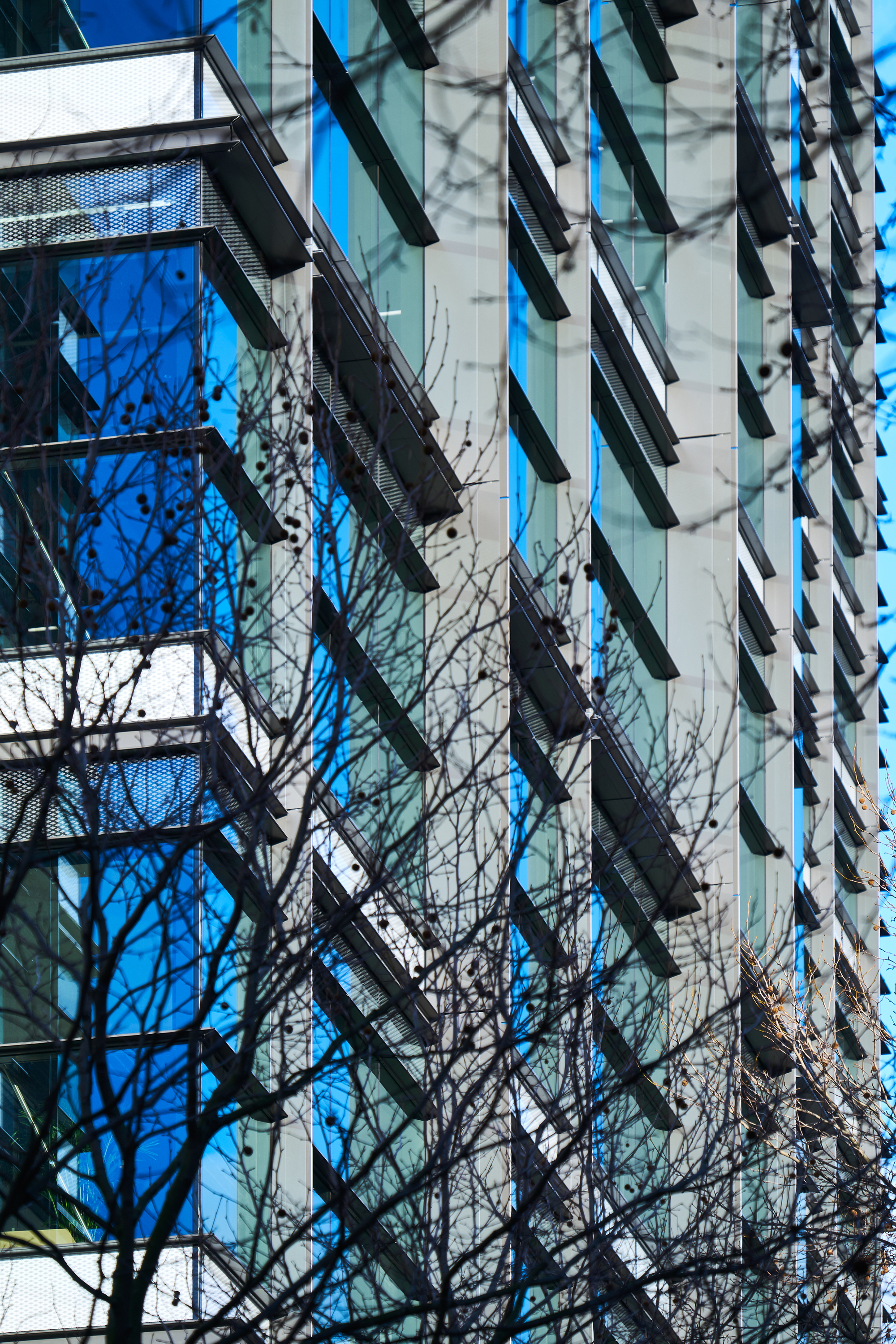 Gallery of The Bower / Allford Hall Monaghan Morris - 20