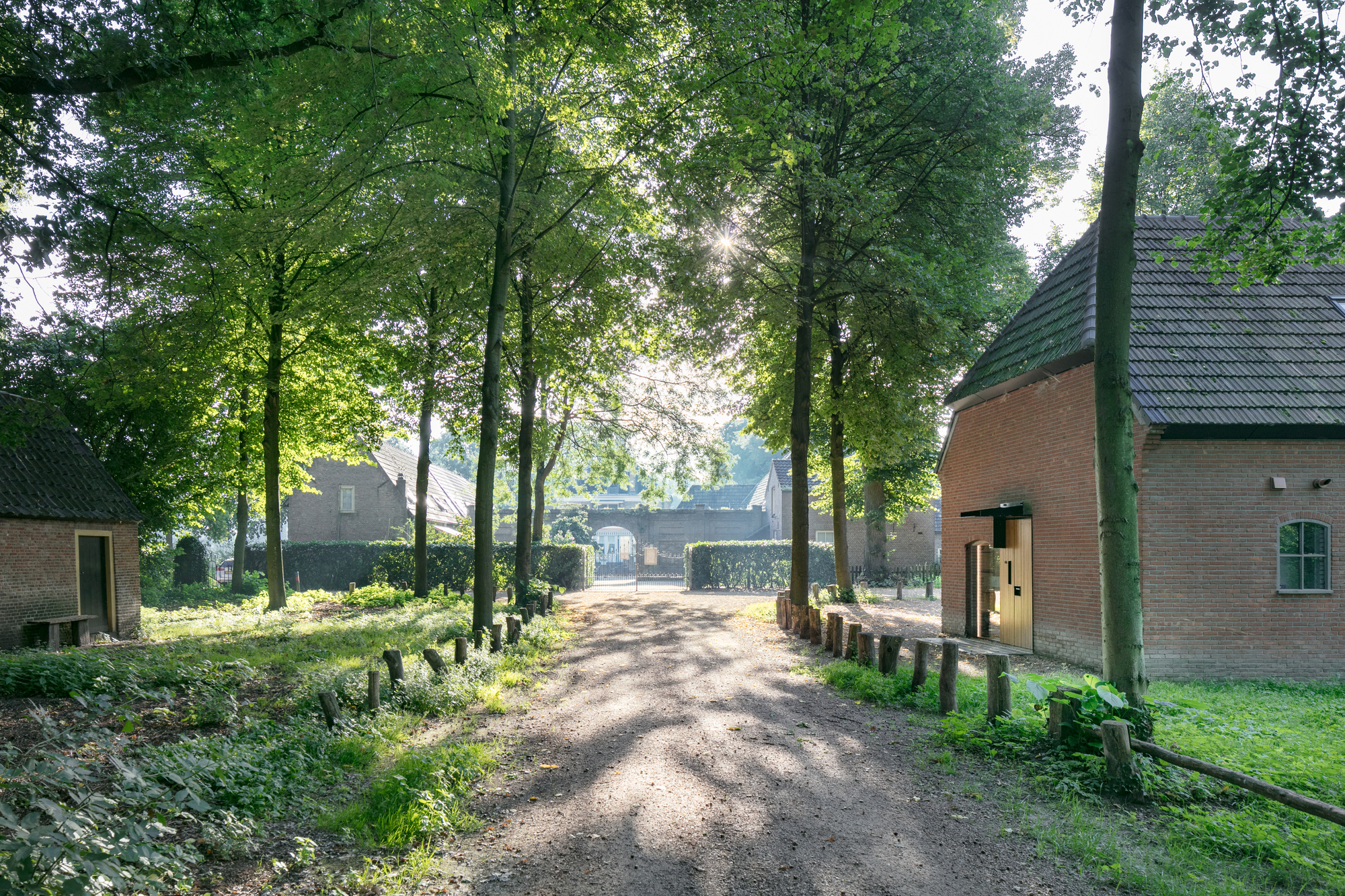 Gallery of Museum Romeins Halder / Reset Architecture - 11