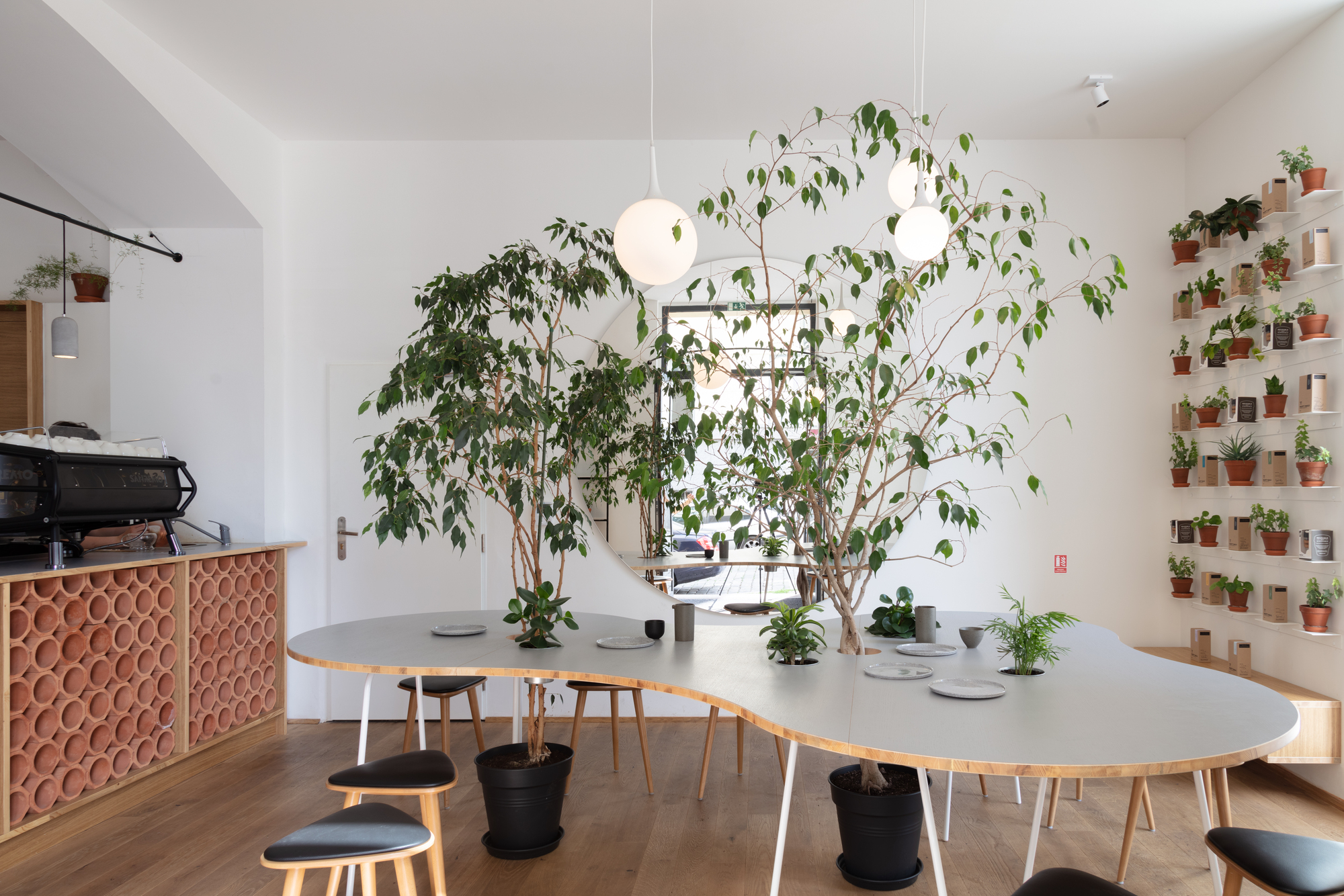 Gallery of Typika Specialty Cafe / KOGAA - 15