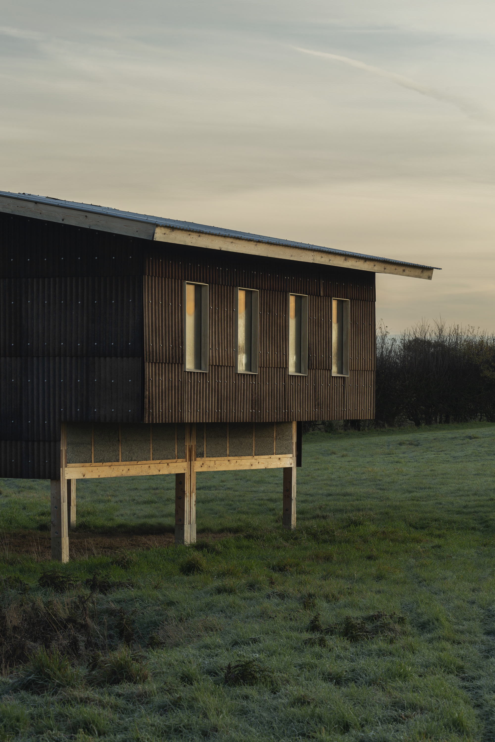 Gallery of Flat House / Practice Architecture + Material Cultures - 3