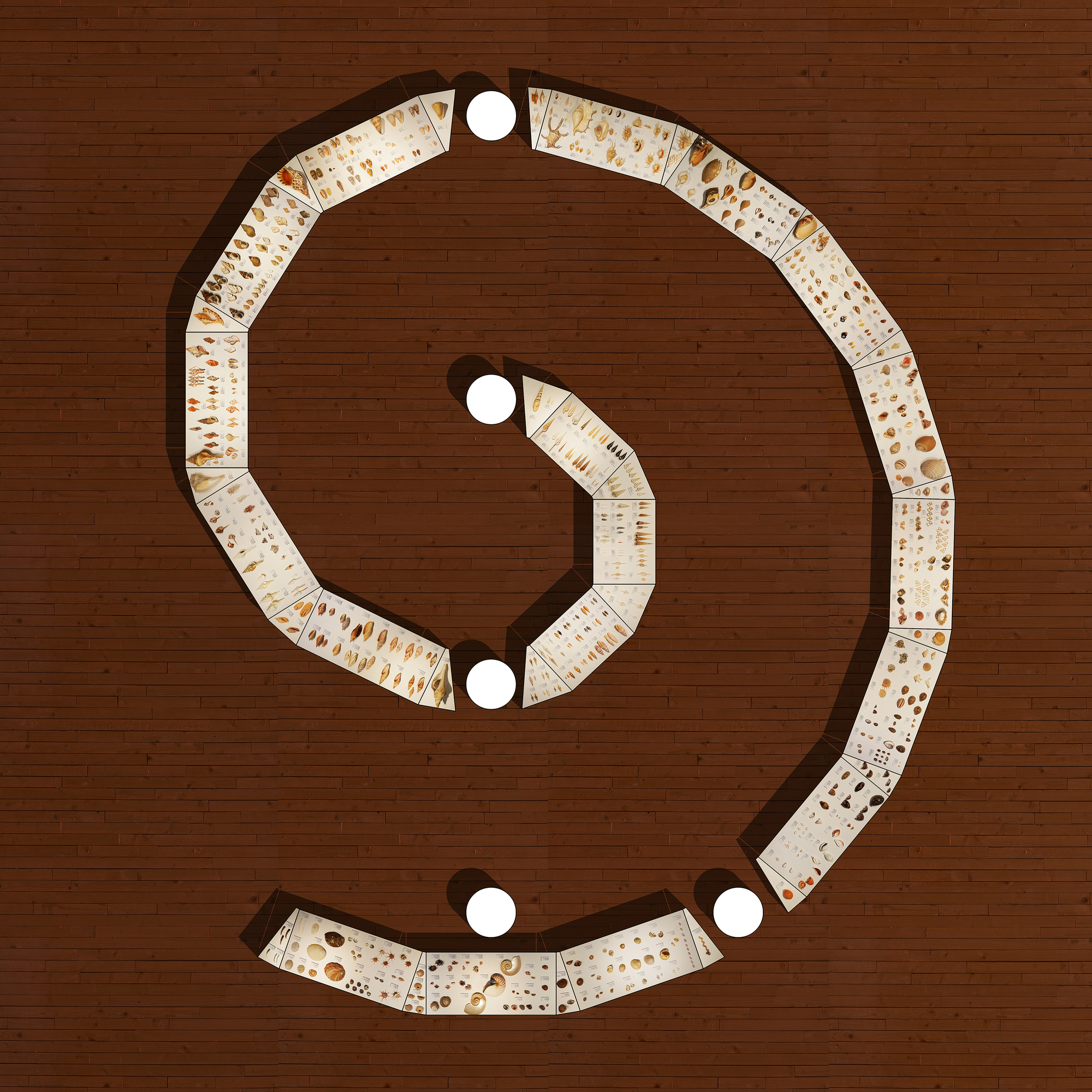 Architecture of Shells | ArchDaily