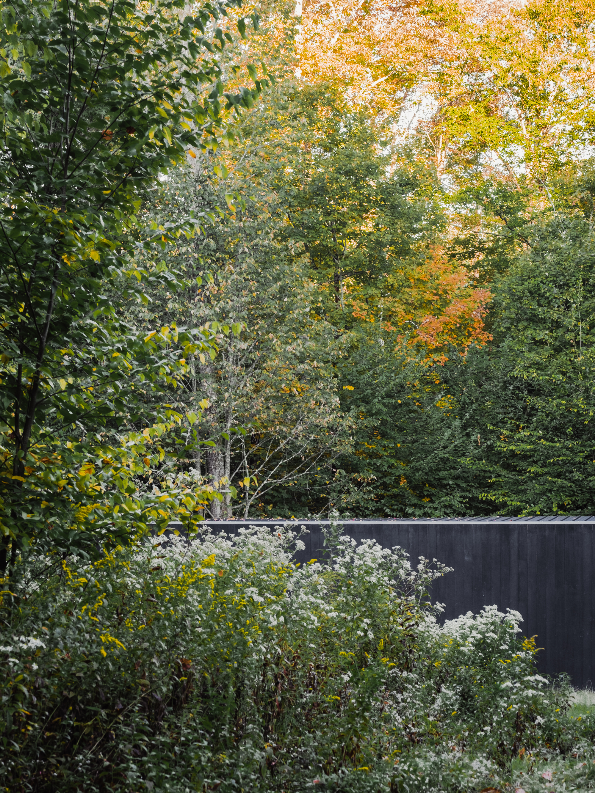 Gallery of Edifice / Marc Thorpe Design - 14