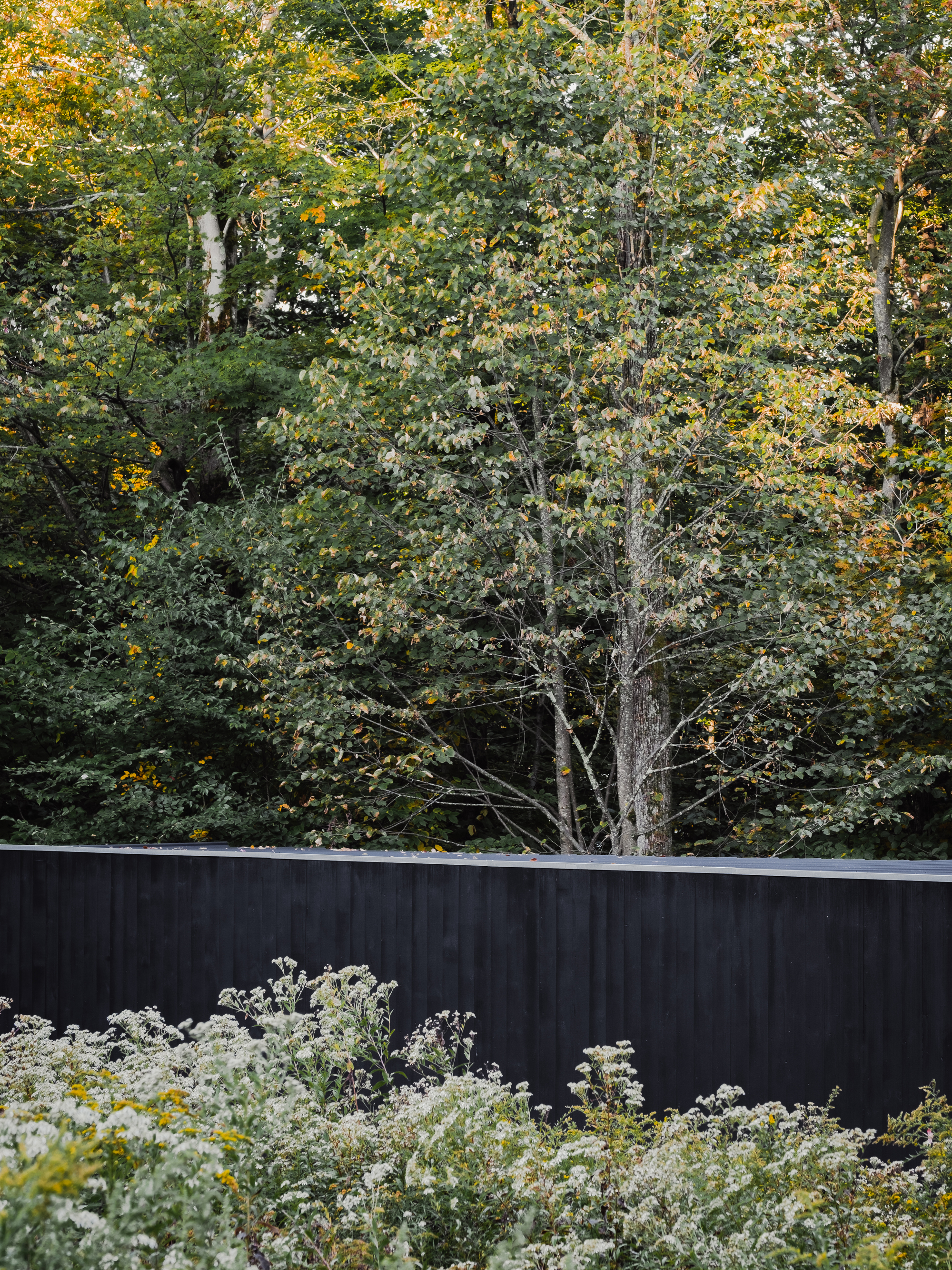 Gallery of Edifice / Marc Thorpe Design - 32