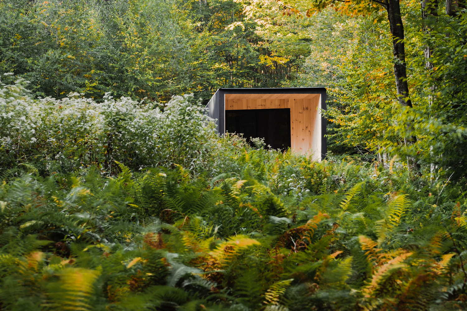 Gallery of Edifice / Marc Thorpe Design - 22