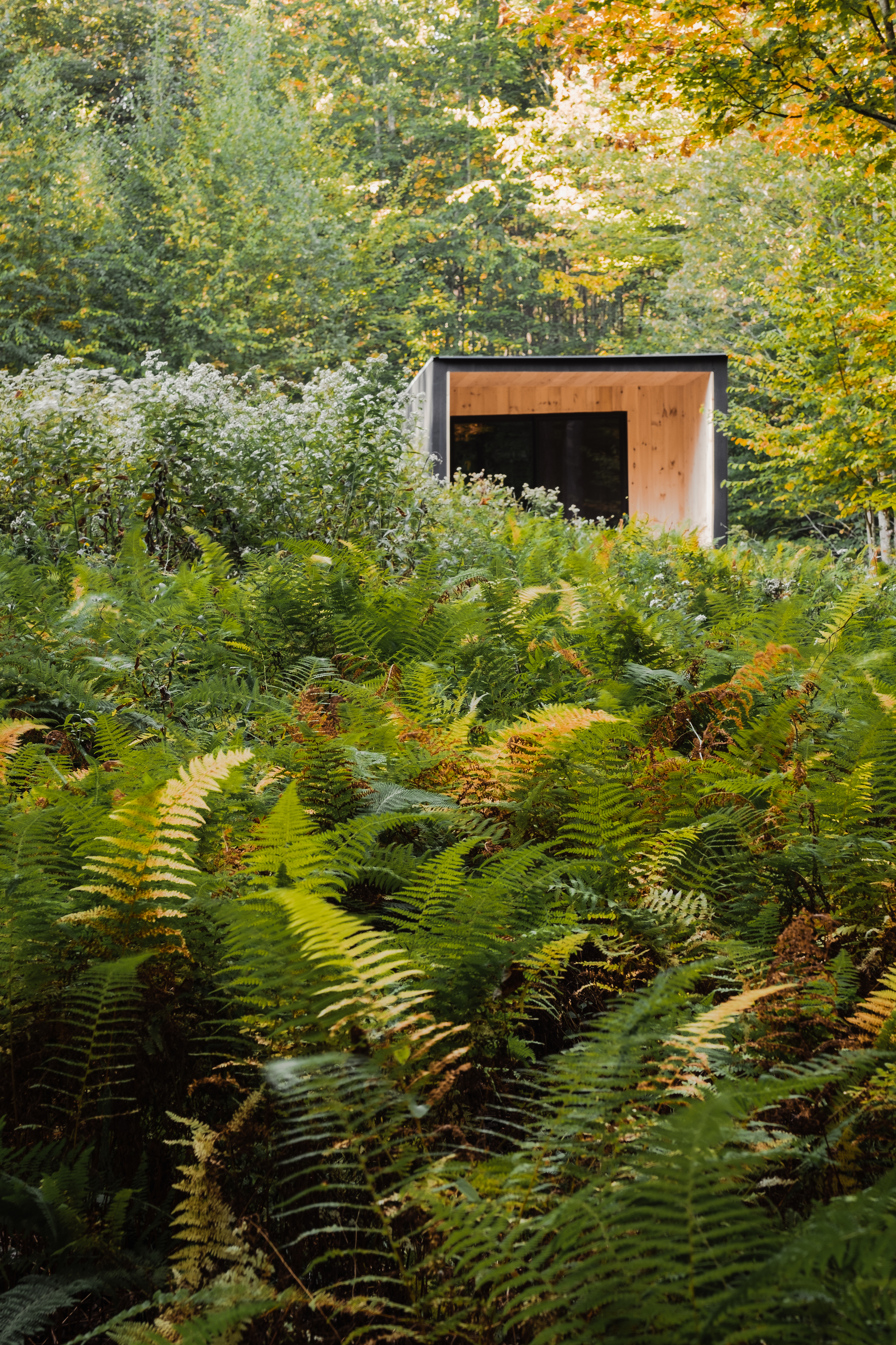 Gallery of Edifice / Marc Thorpe Design - 34