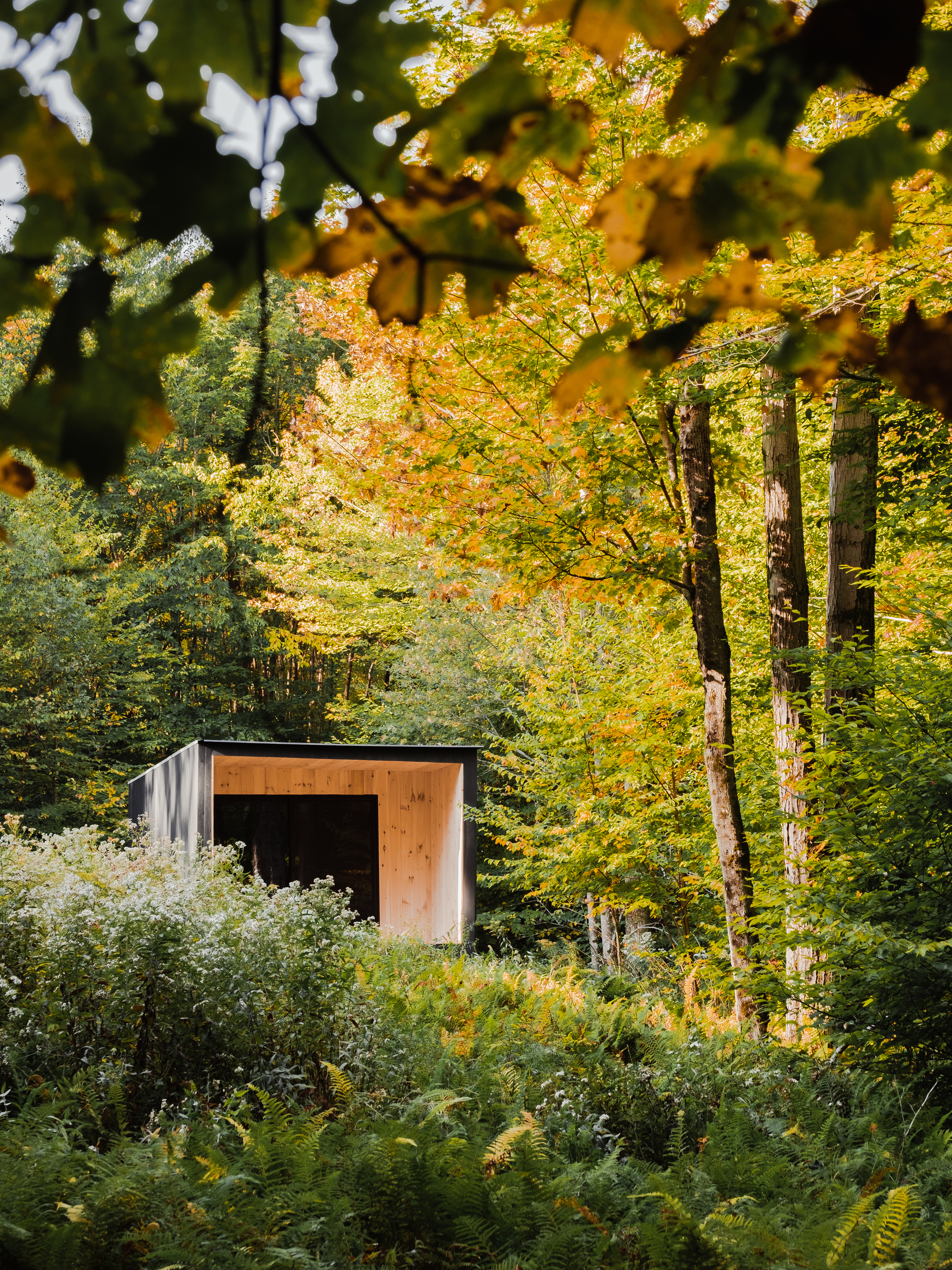 Gallery of Edifice / Marc Thorpe Design - 36