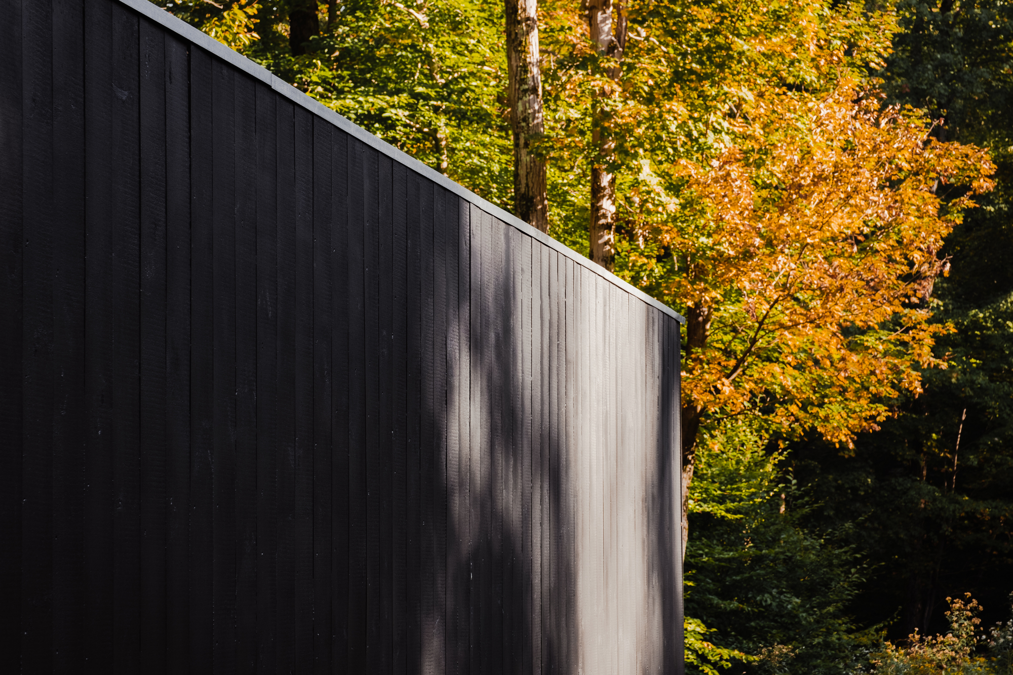 Gallery of Edifice / Marc Thorpe Design - 10