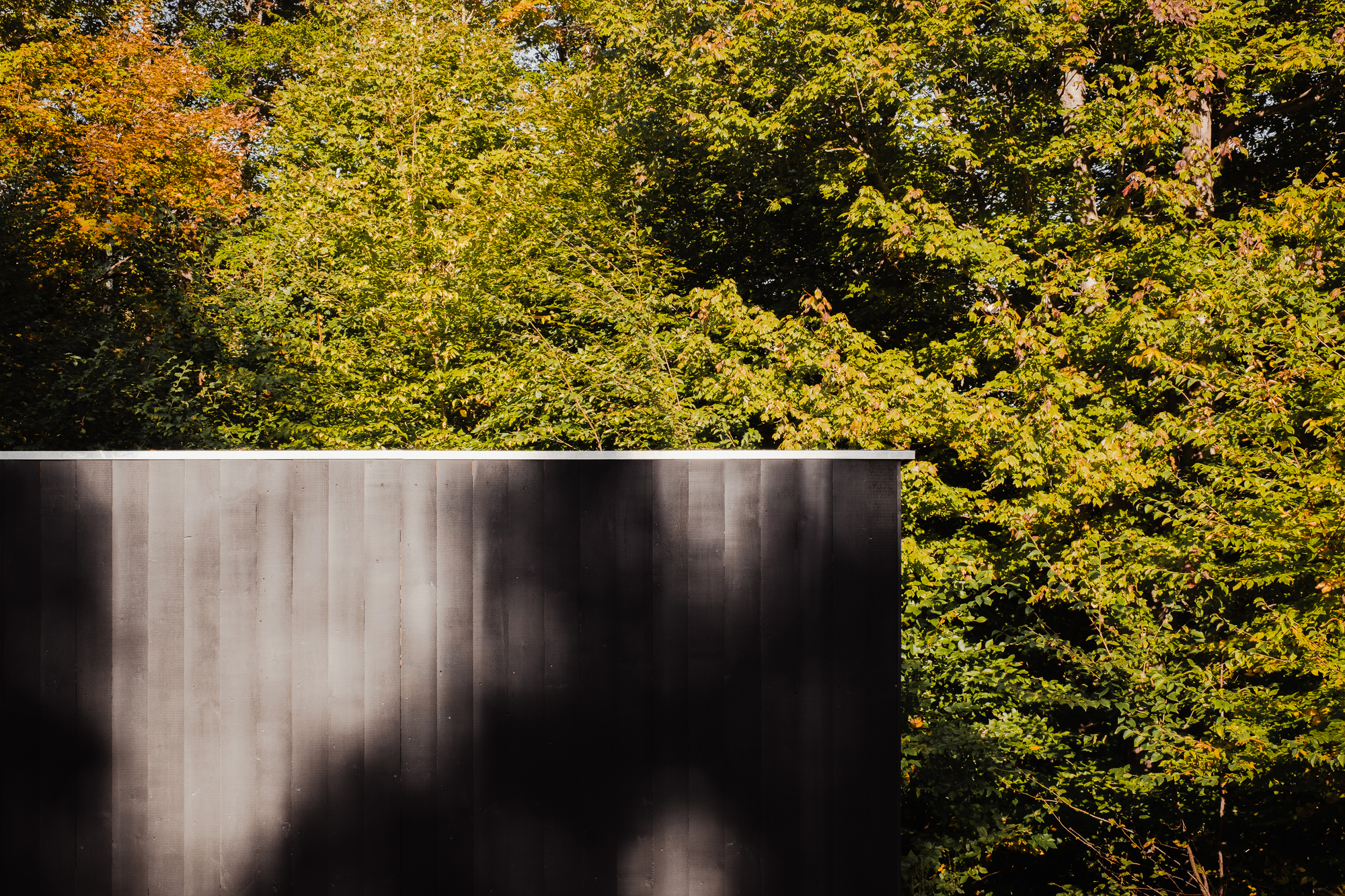 Gallery of Edifice / Marc Thorpe Design - 39