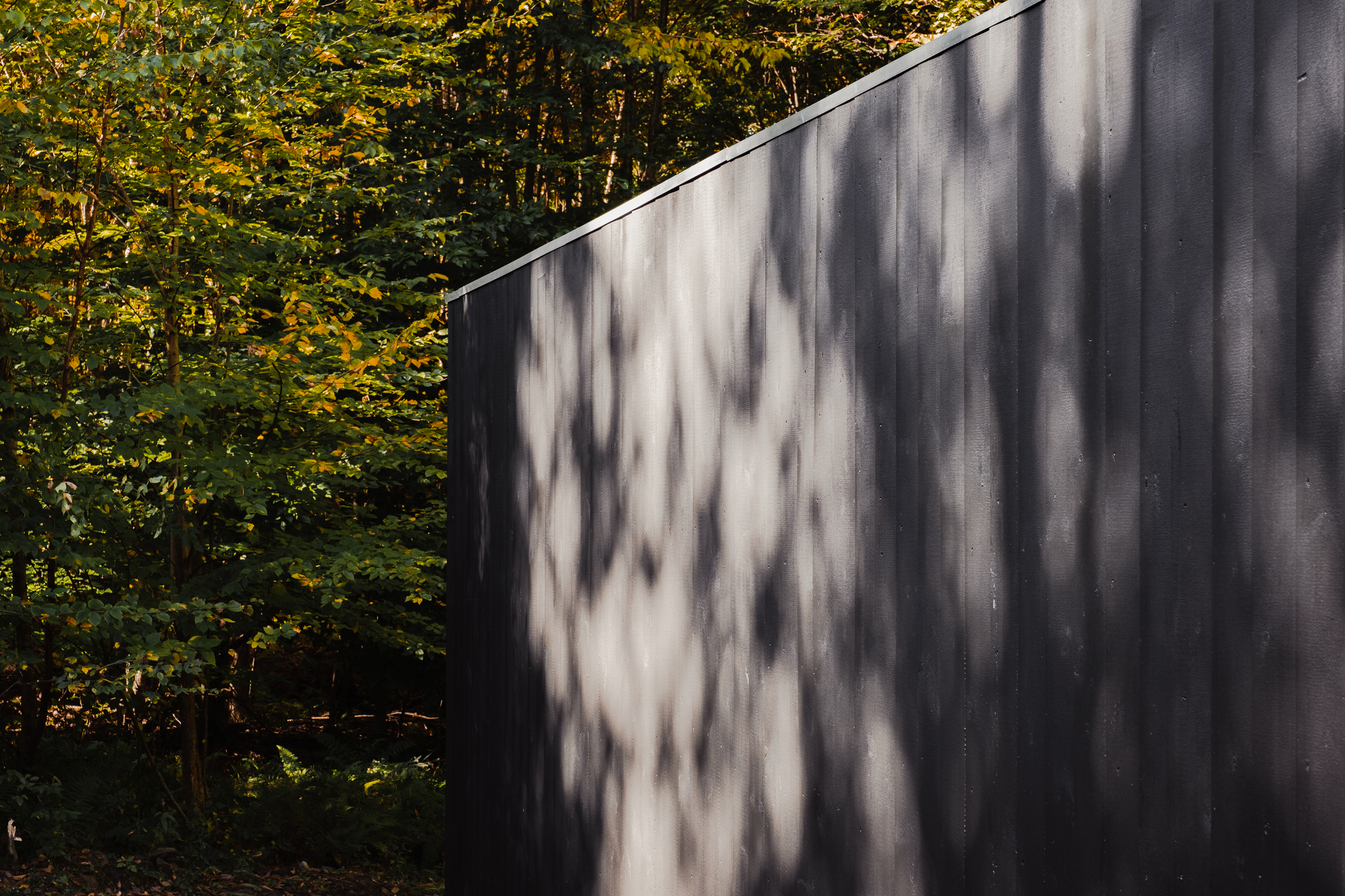 Gallery of Edifice / Marc Thorpe Design - 13