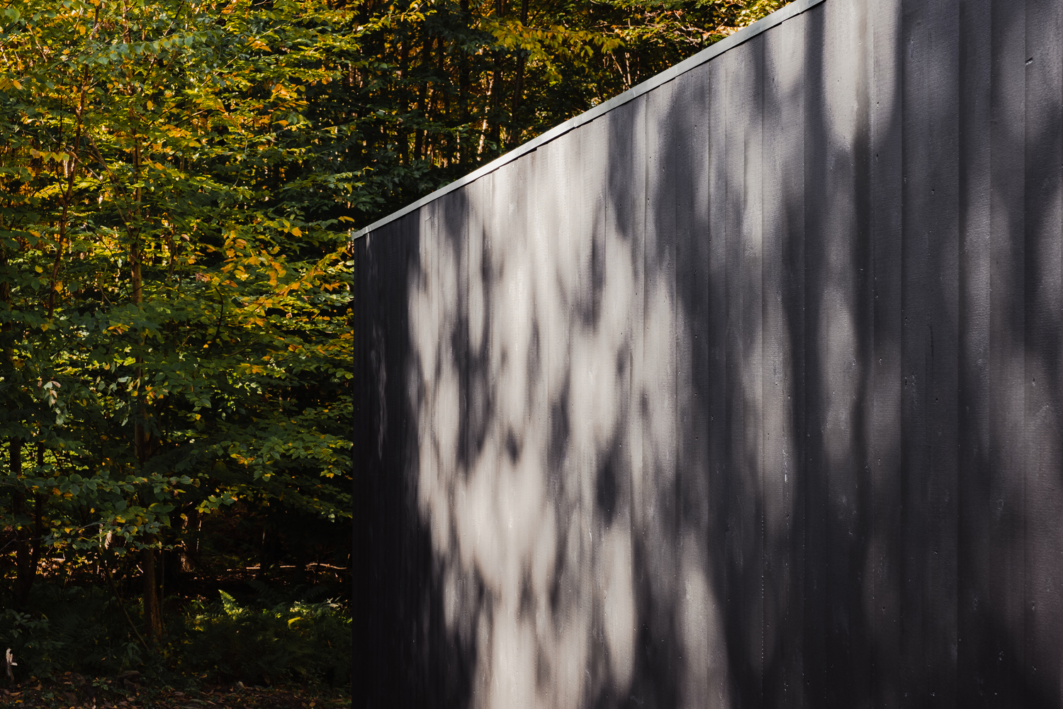 Gallery of Edifice / Marc Thorpe Design - 14