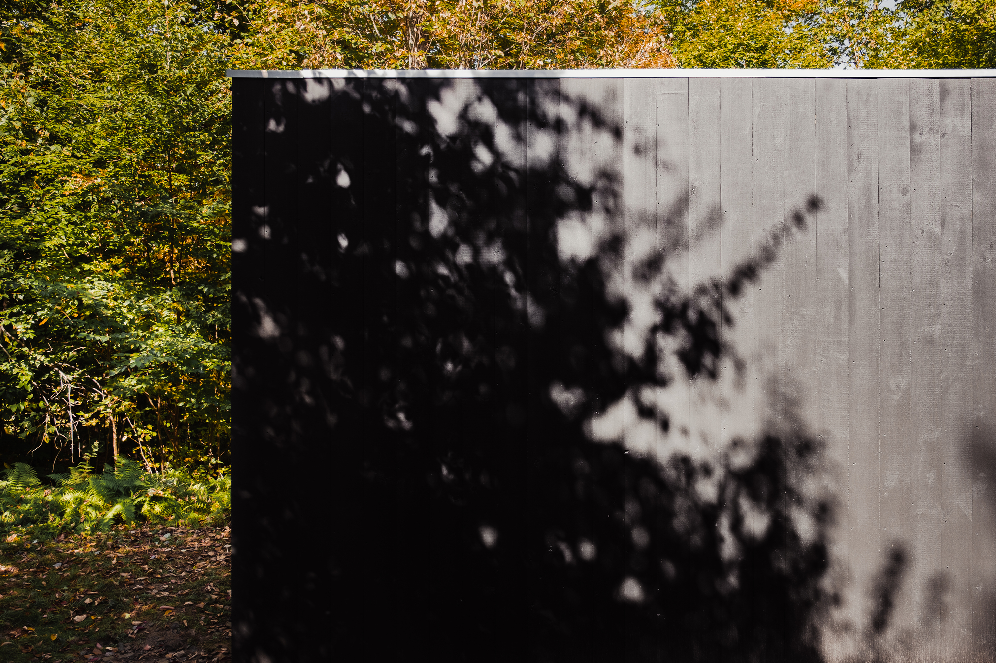 Gallery of Edifice / Marc Thorpe Design - 31