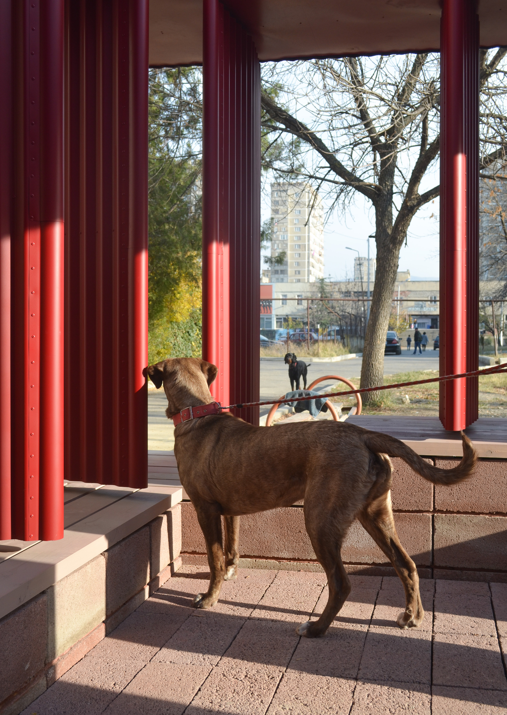 Gallery of 8-23-VI Pavilion / Medium - 25