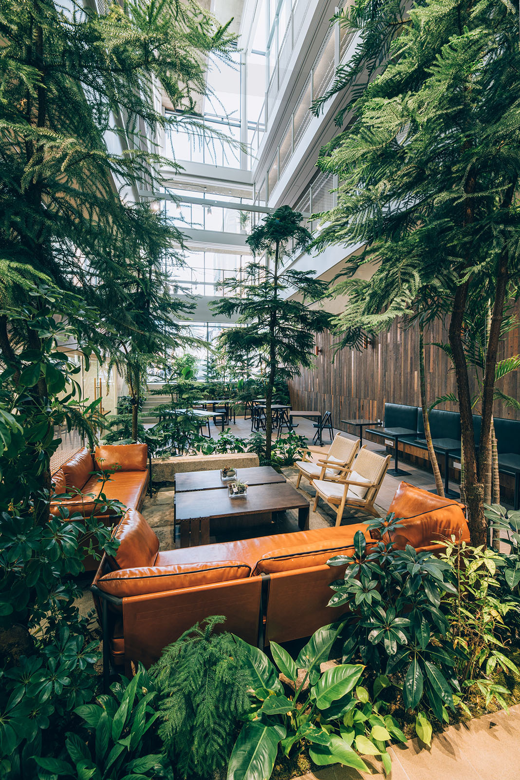 Galeria de Edifício Residencial Treehouse / Bo-DAA - 3